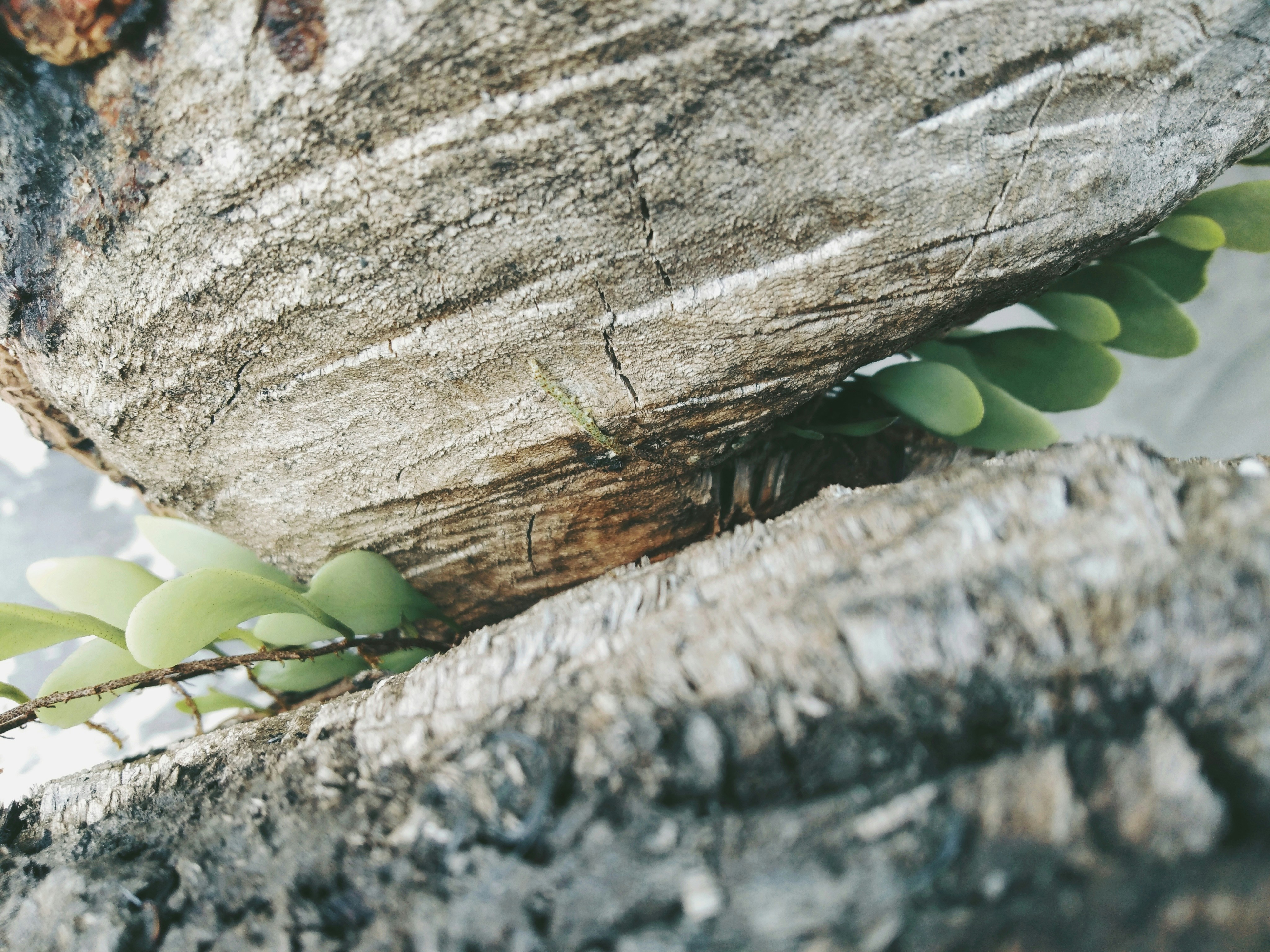 Aqid Polem (@aqidpolem) | Unsplash Photo Community