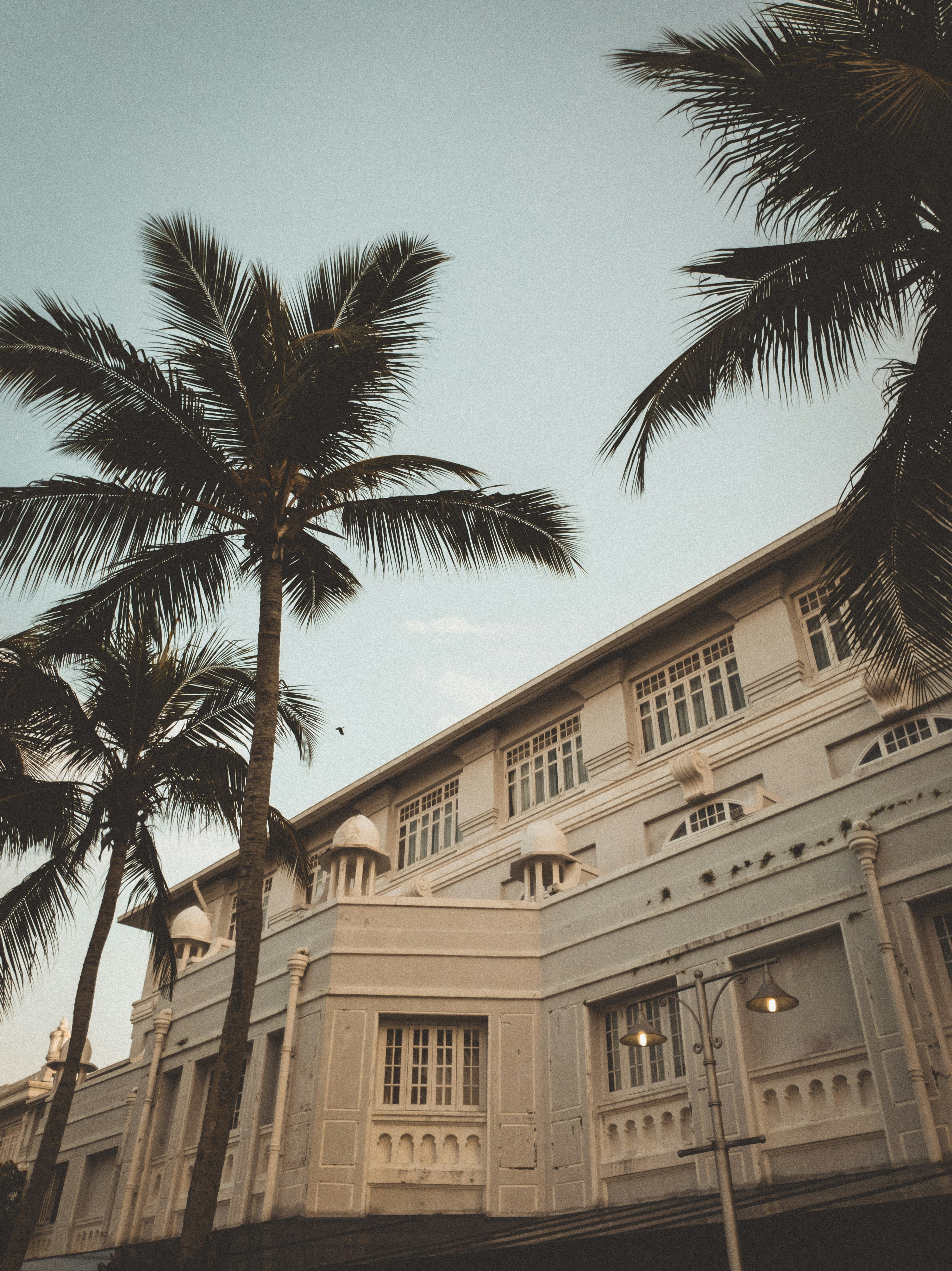 Historic building framed by swaying palm trees under a serene sky. The architectural details reflect a blend of cultural influences.