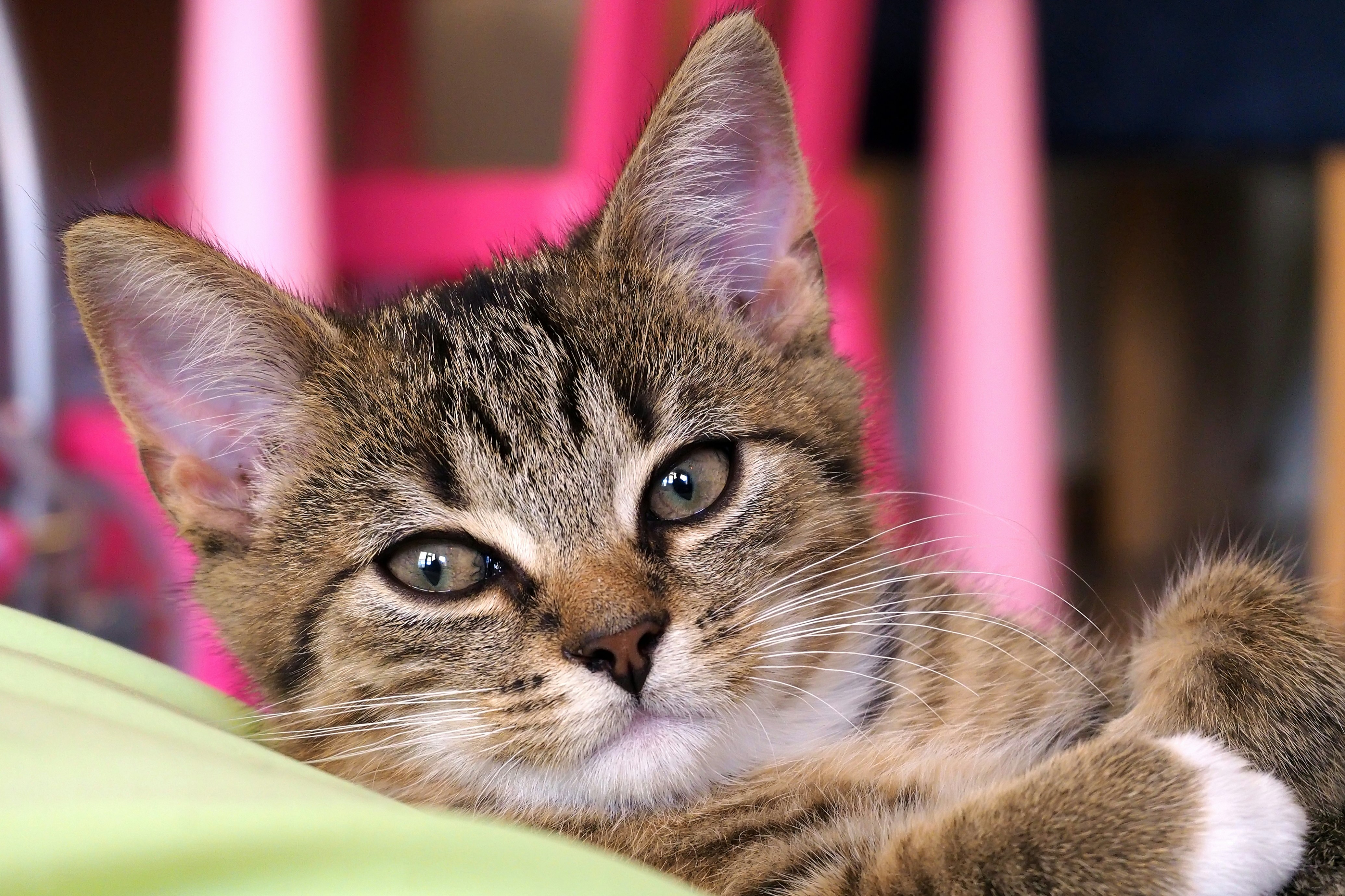 Ed van duijn (@eddyvanduijn) | Comunidad de fotos de Unsplash