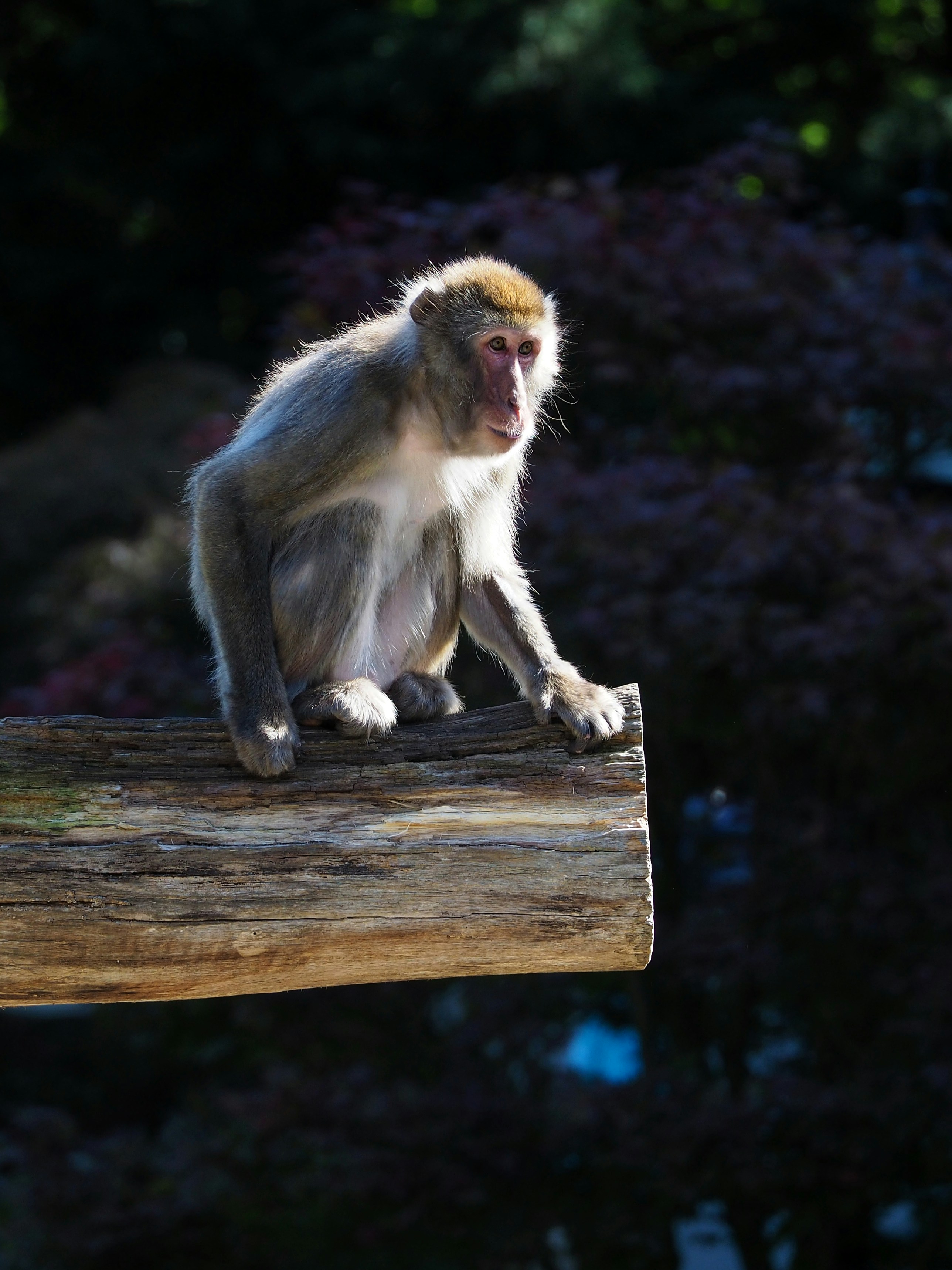 Ed van duijn (@eddyvanduijn) | Comunidad de fotos de Unsplash