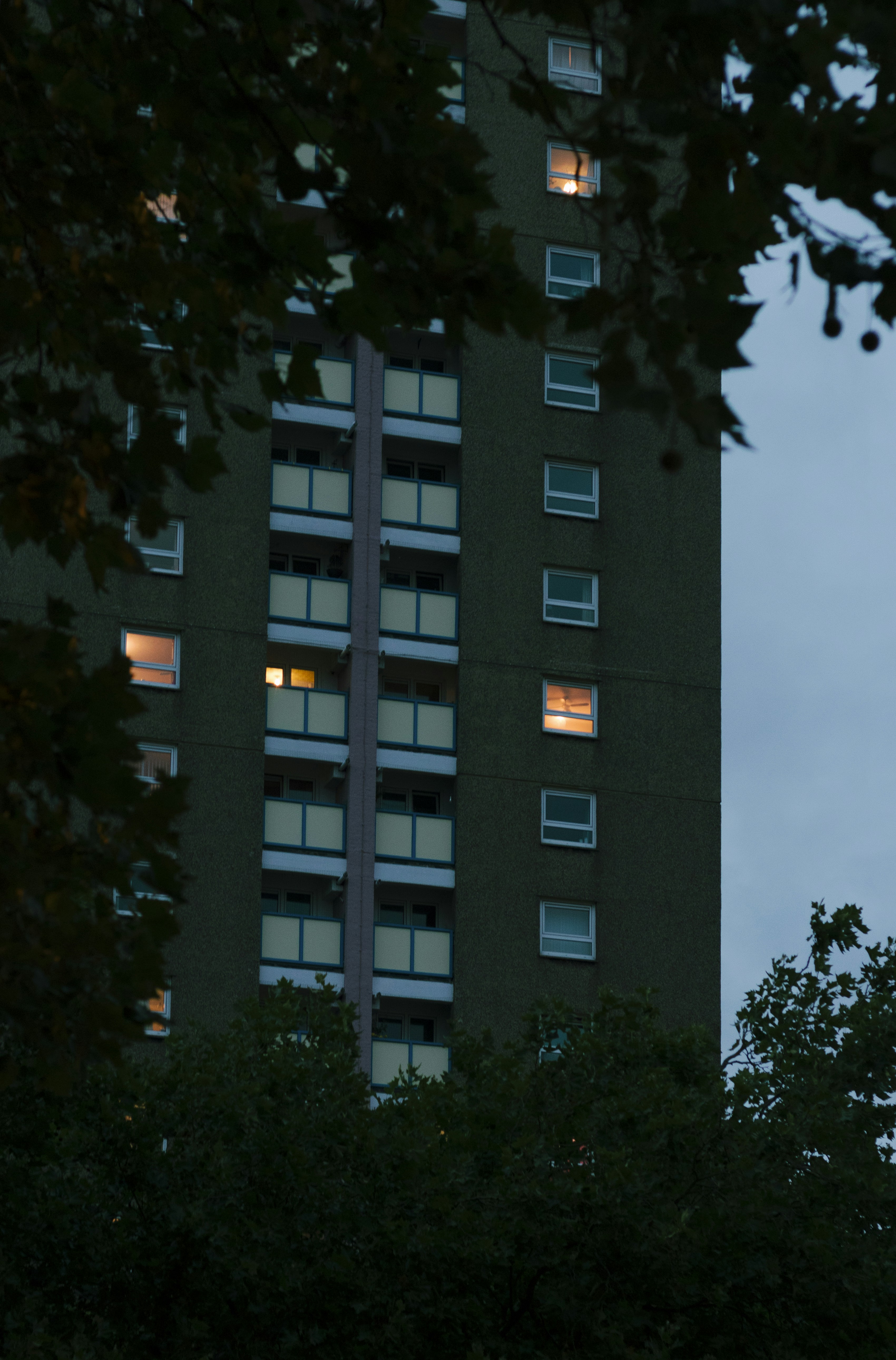 A tall residential building partially obscured by trees, with illuminated windows hinting at the lives within. The evening sky casts a subtle backdrop.