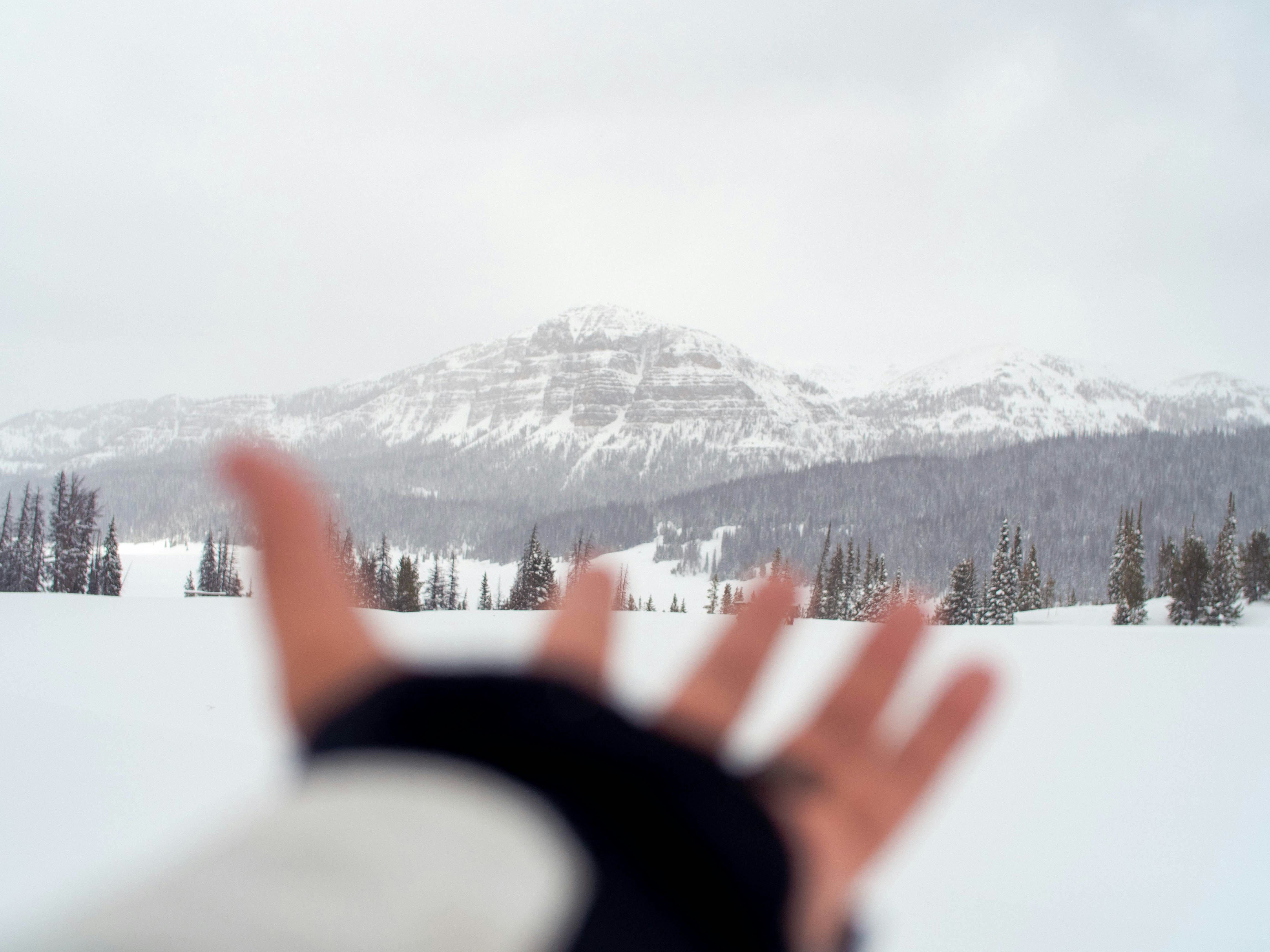 Snowbound Horizon Fractured by a Foreshortened Gesture