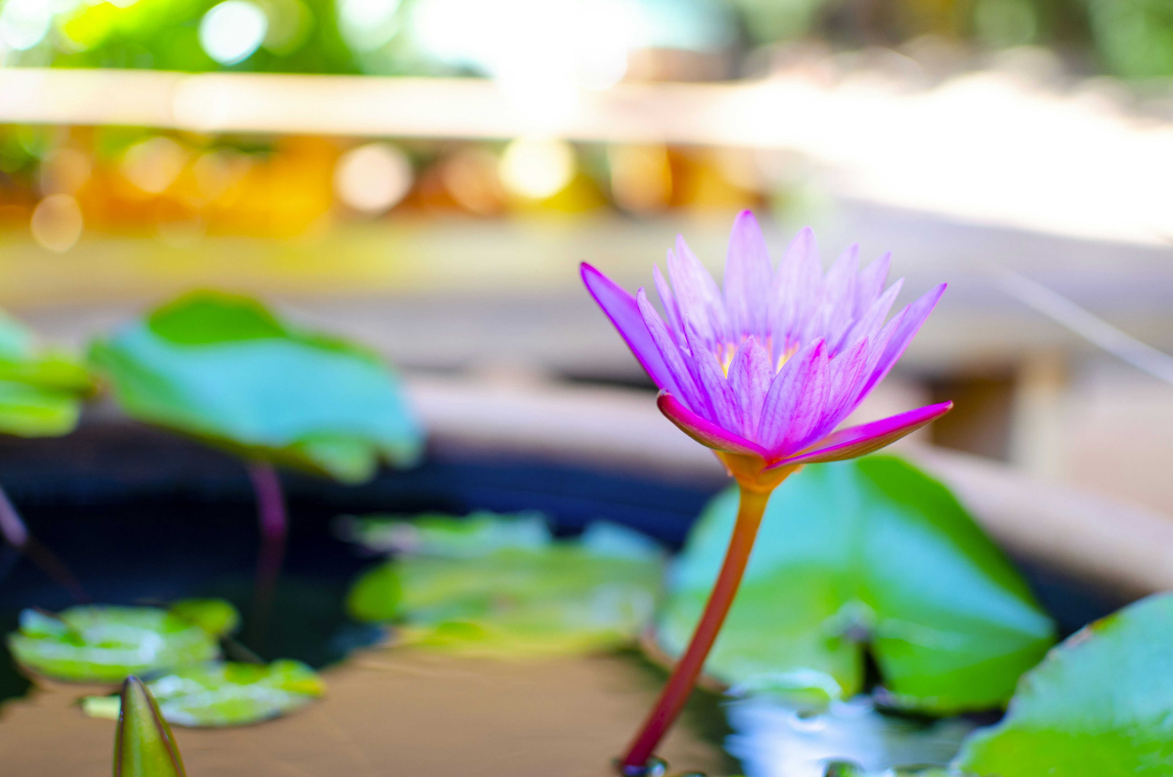 Hide Obara (@hideobara) | Unsplash 사진 커뮤니티