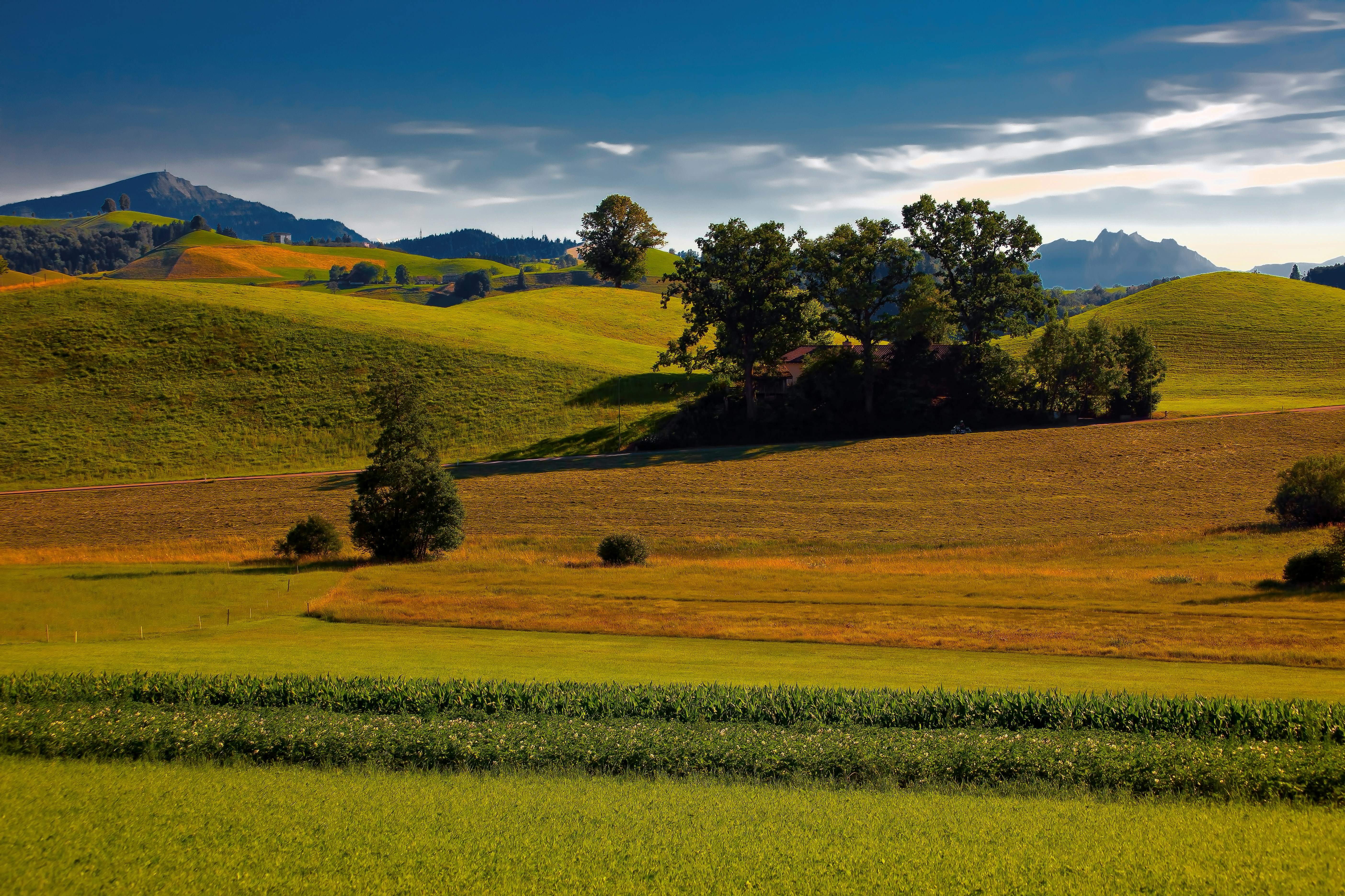 Farm Background Pictures | Download Free Images on Unsplash
