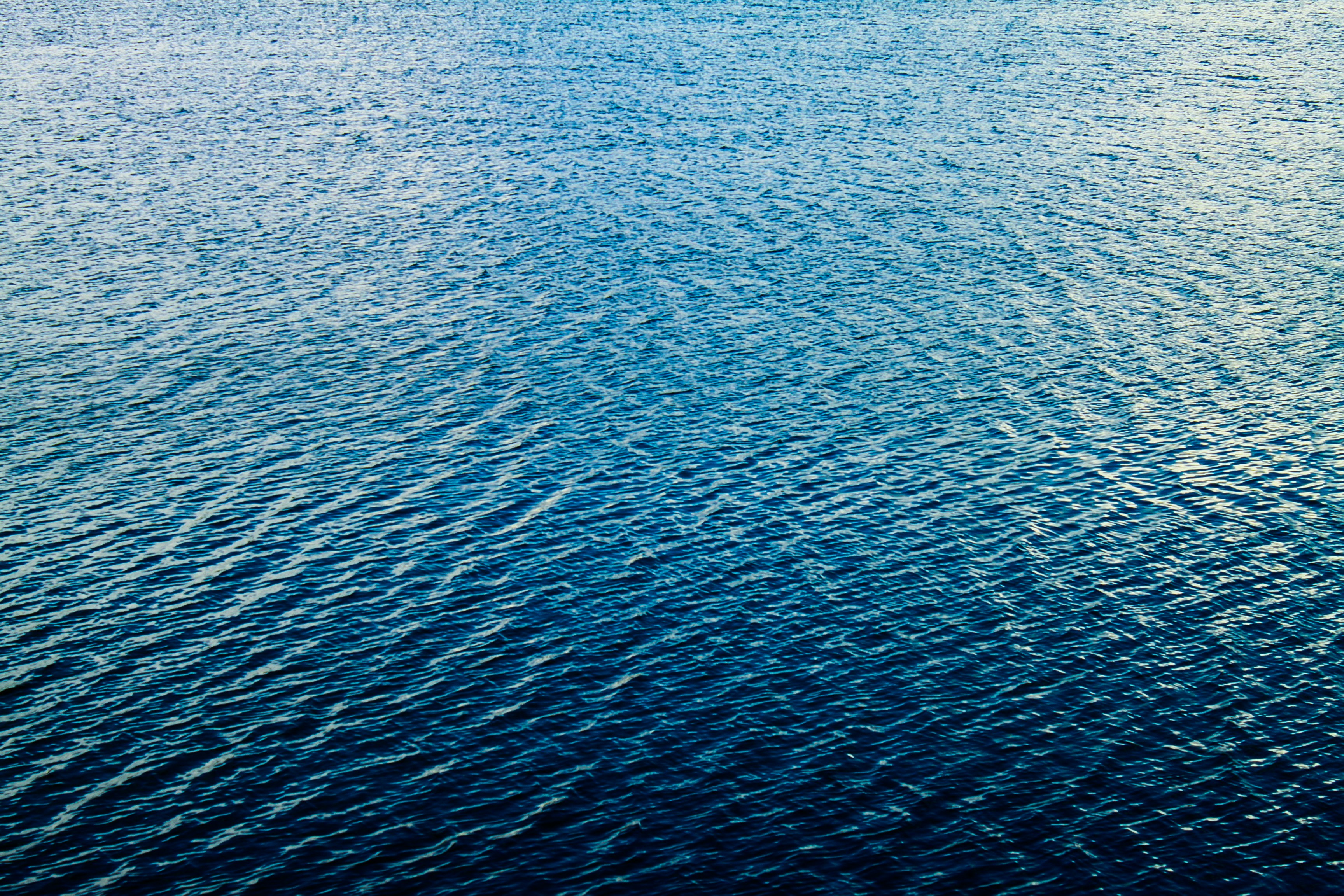 Vibrant blue water surface reflecting light, creating a serene and calming effect.