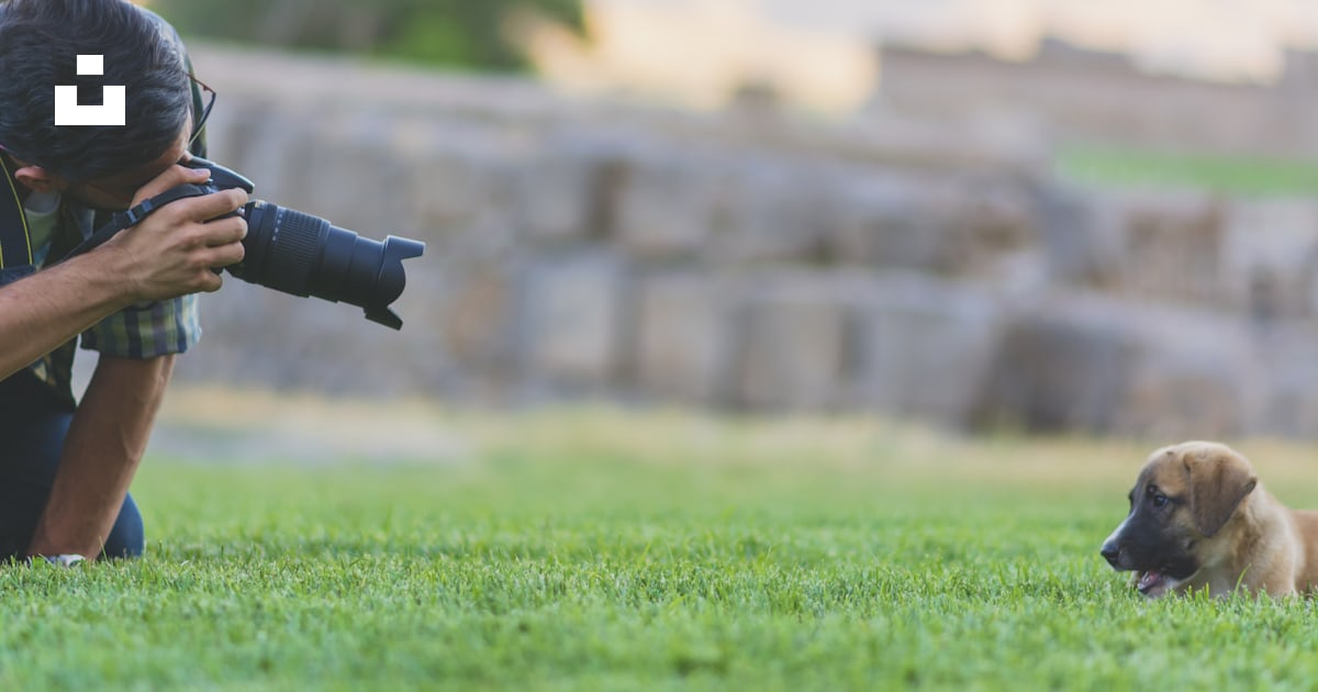 Foto Hombre Tomando Foto De Cachorro Marrón Usando Una Cámara Dslr