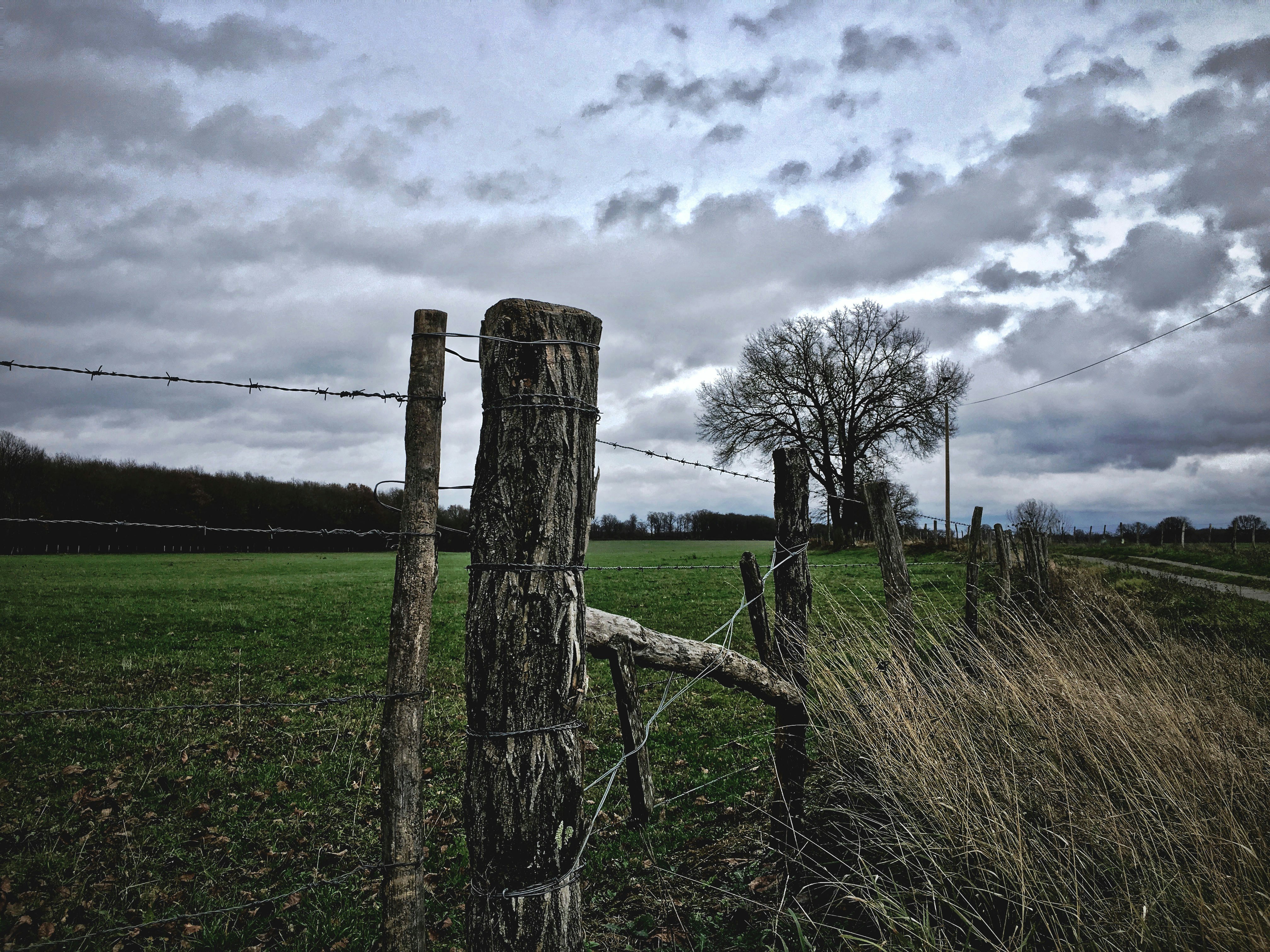 Green field with gray cyclone fence photo – Free Grey Image on Unsplash
