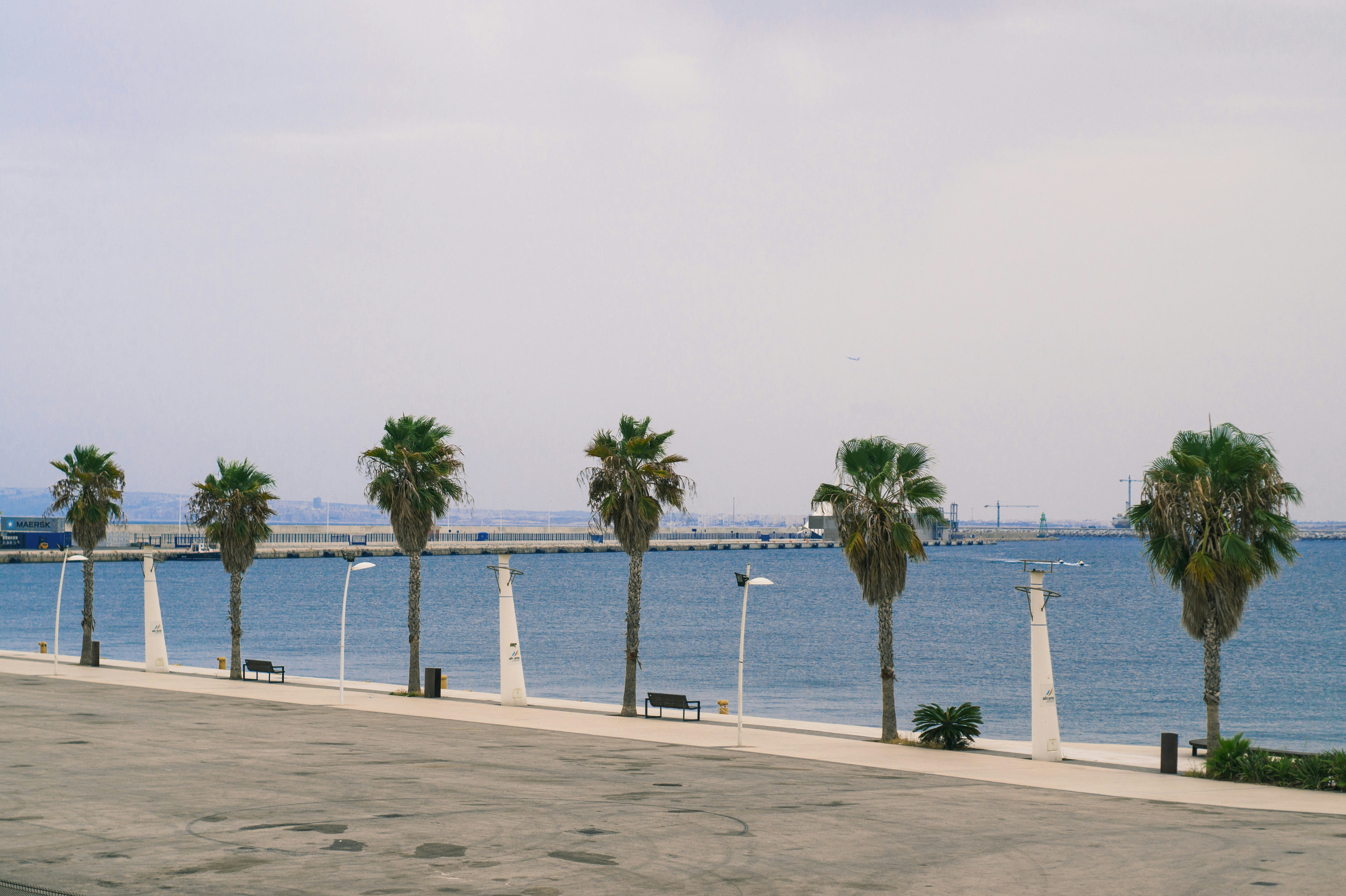 Sample photo from Sony Alpha 58