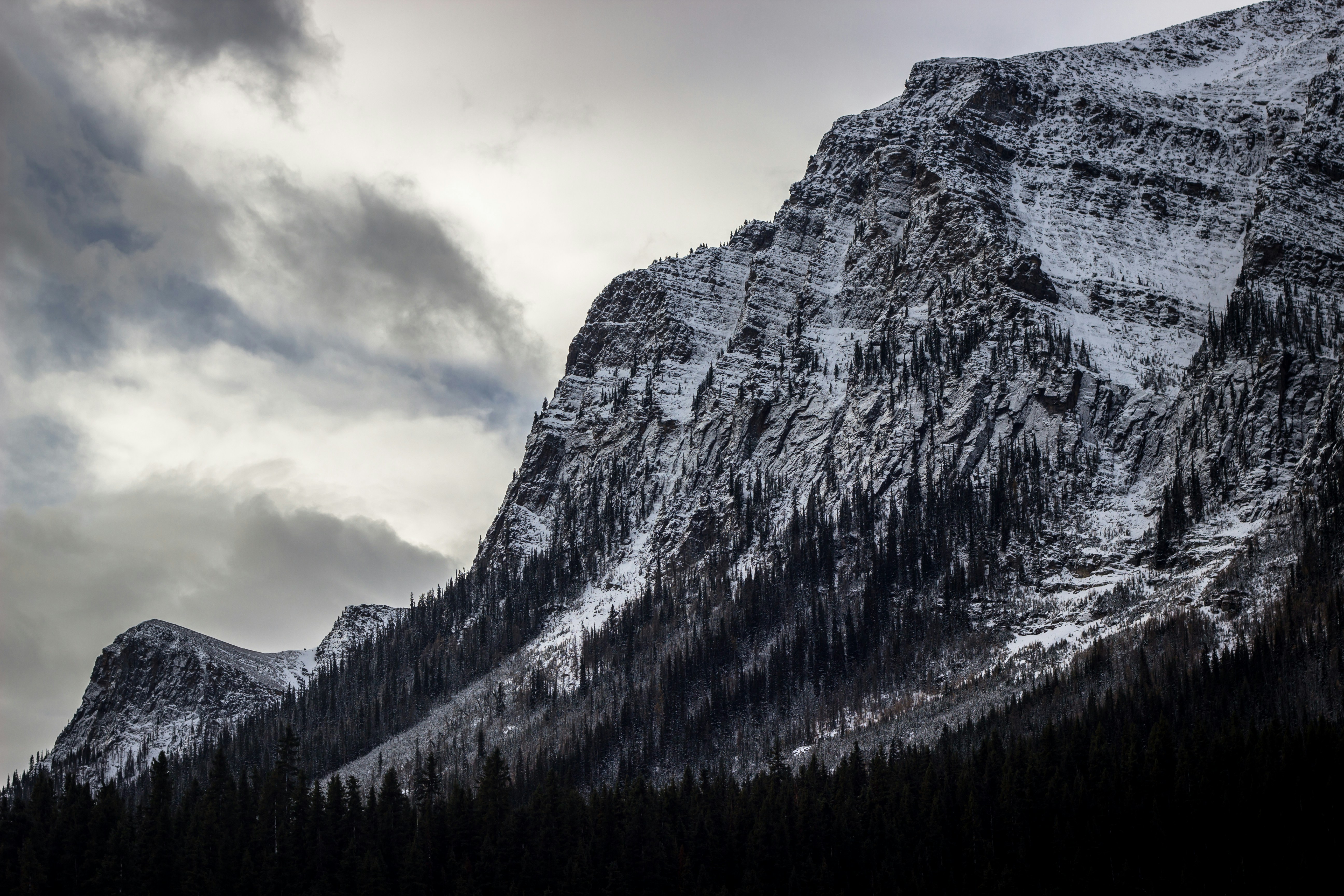 Snow-laden mountain peaks rise dramatically against a moody sky, framed by dark evergreen forests below.