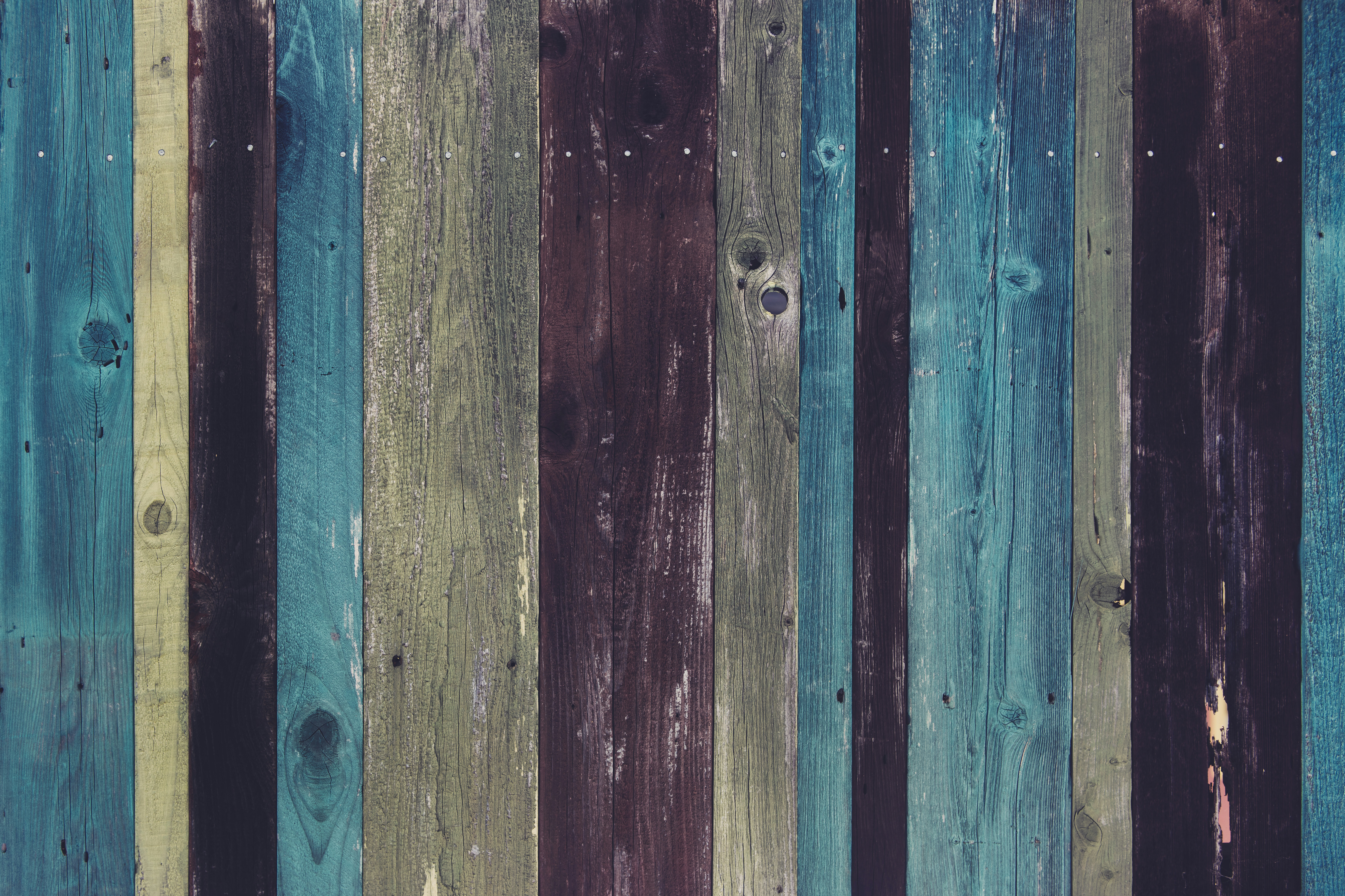 Vertical wooden planks in varying shades of blue, green, and brown create a textured backdrop. The arrangement highlights the natural beauty of wood grain.