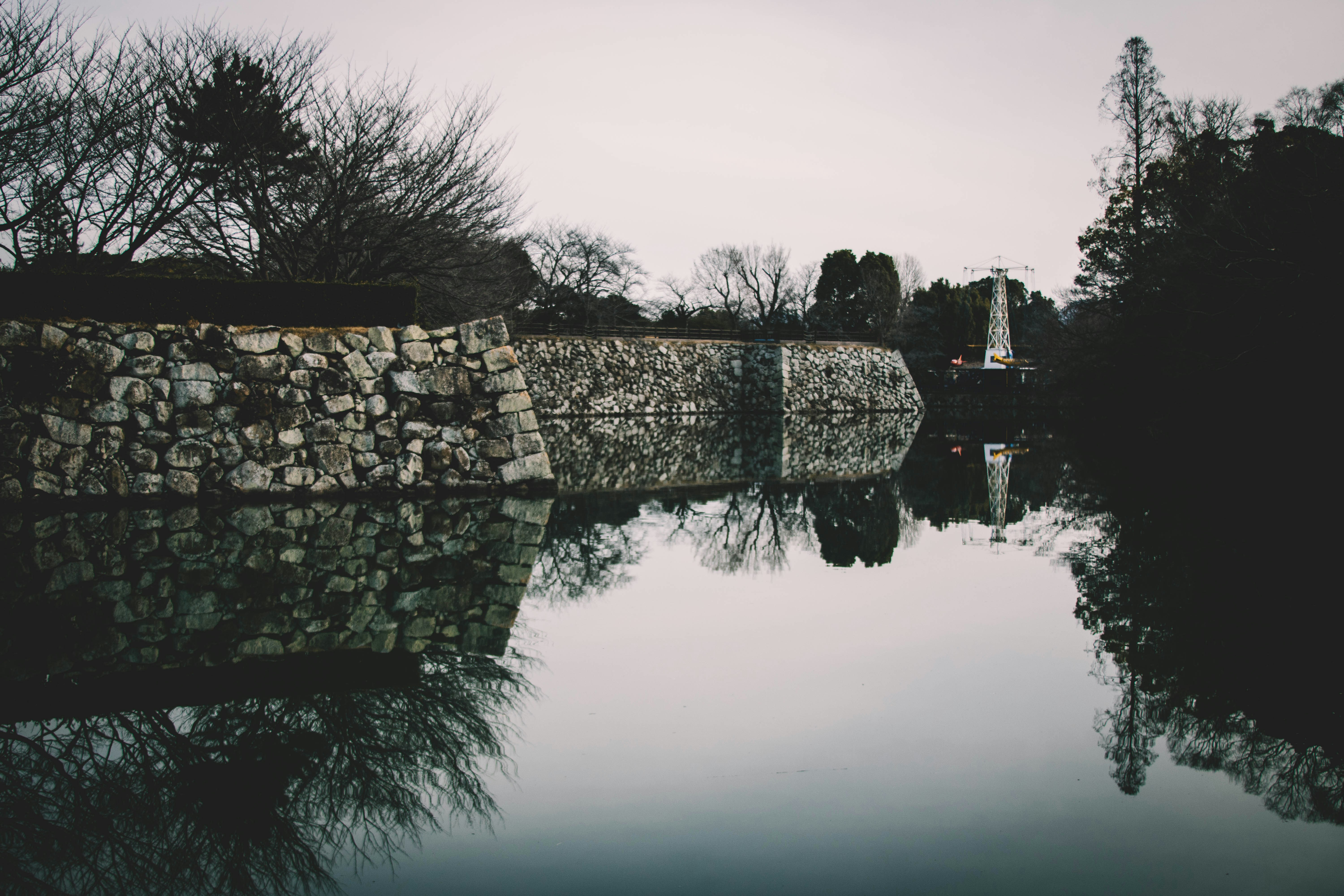 body of water and trees during daytime