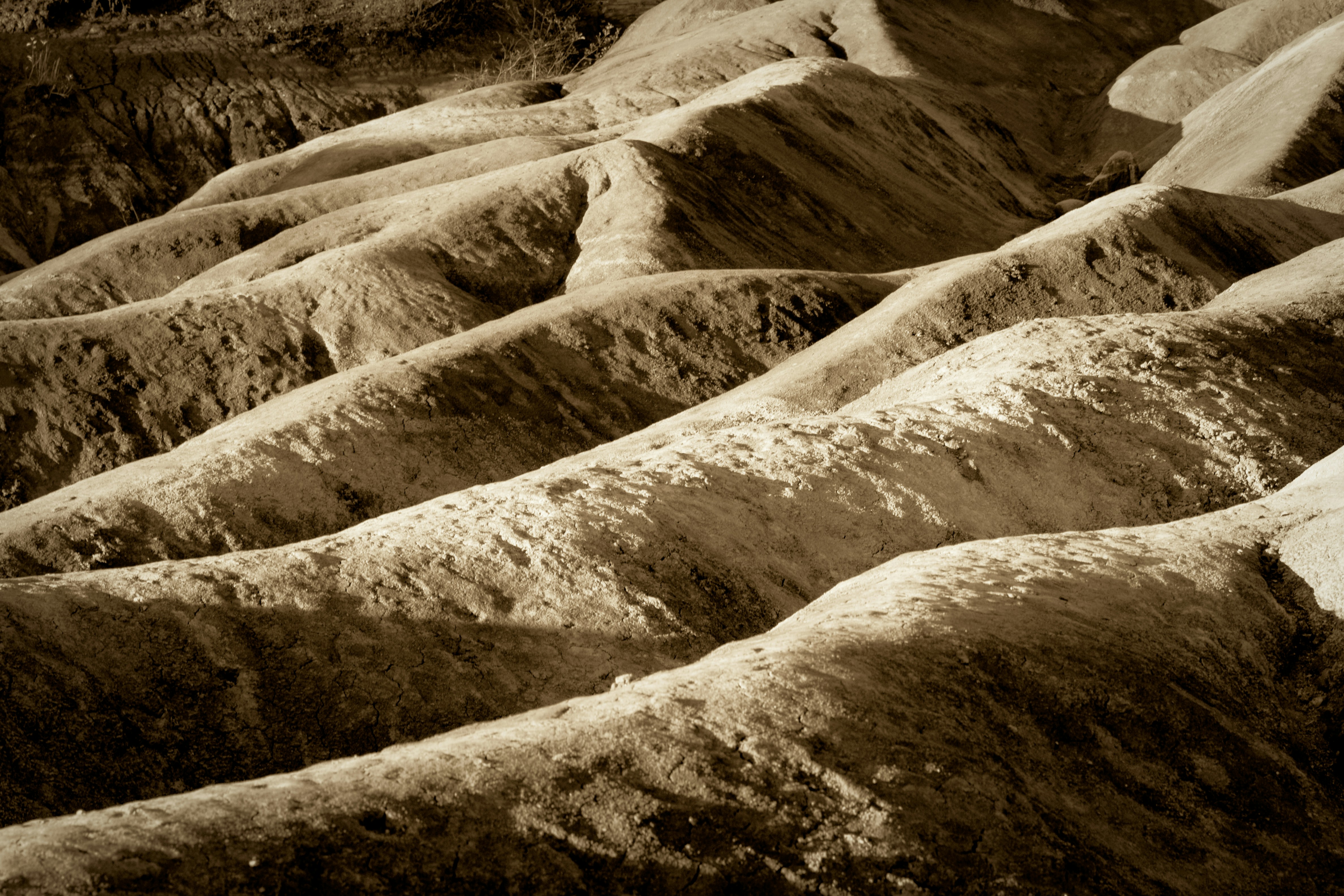 Sepia Waves: The Quiet Geometry of Eroded Ridges