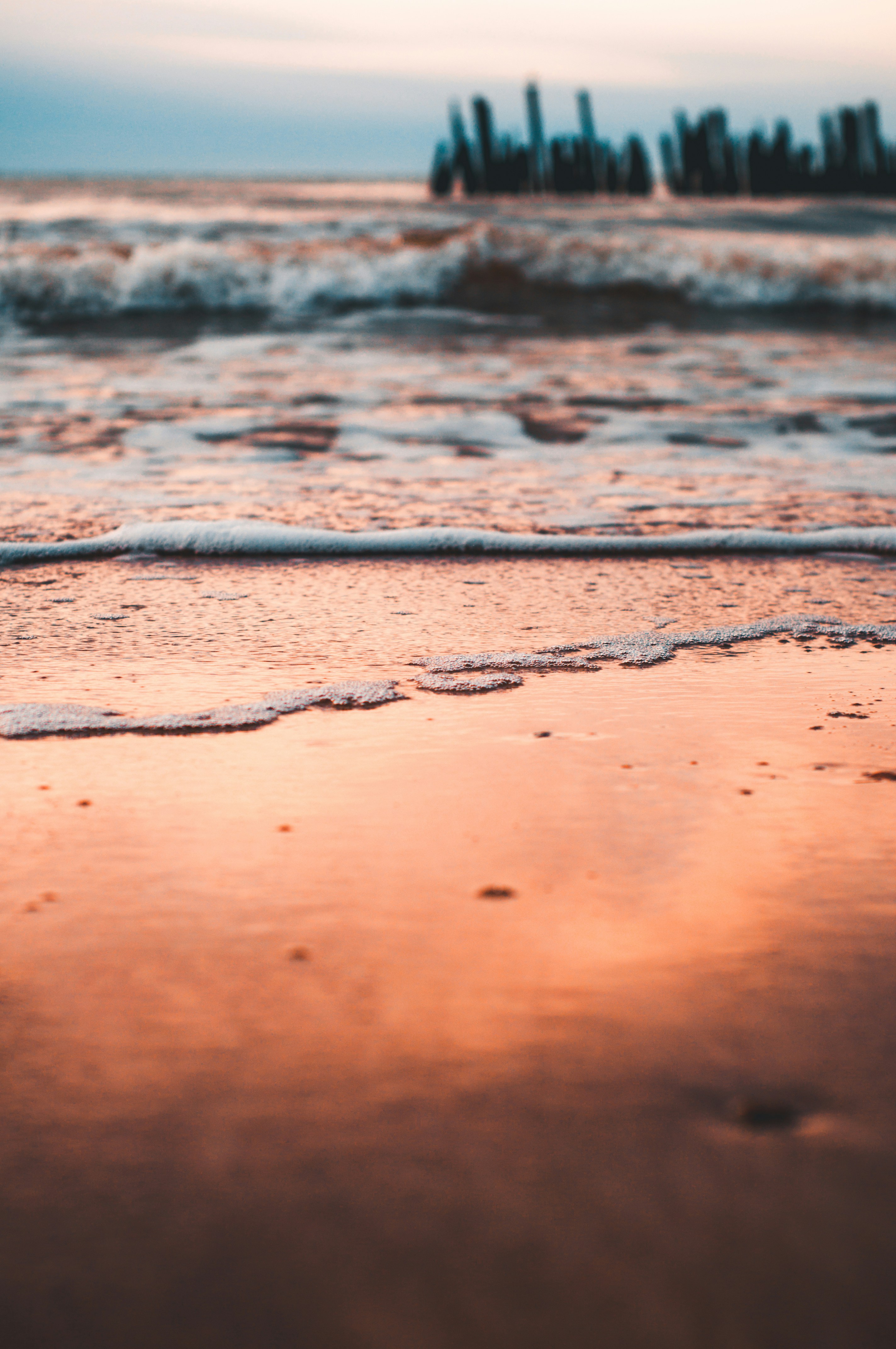 Nikon D90 + Nikon AF Nikkor 50mm F1.8D sample photo - ZdcrpEhRSb ...