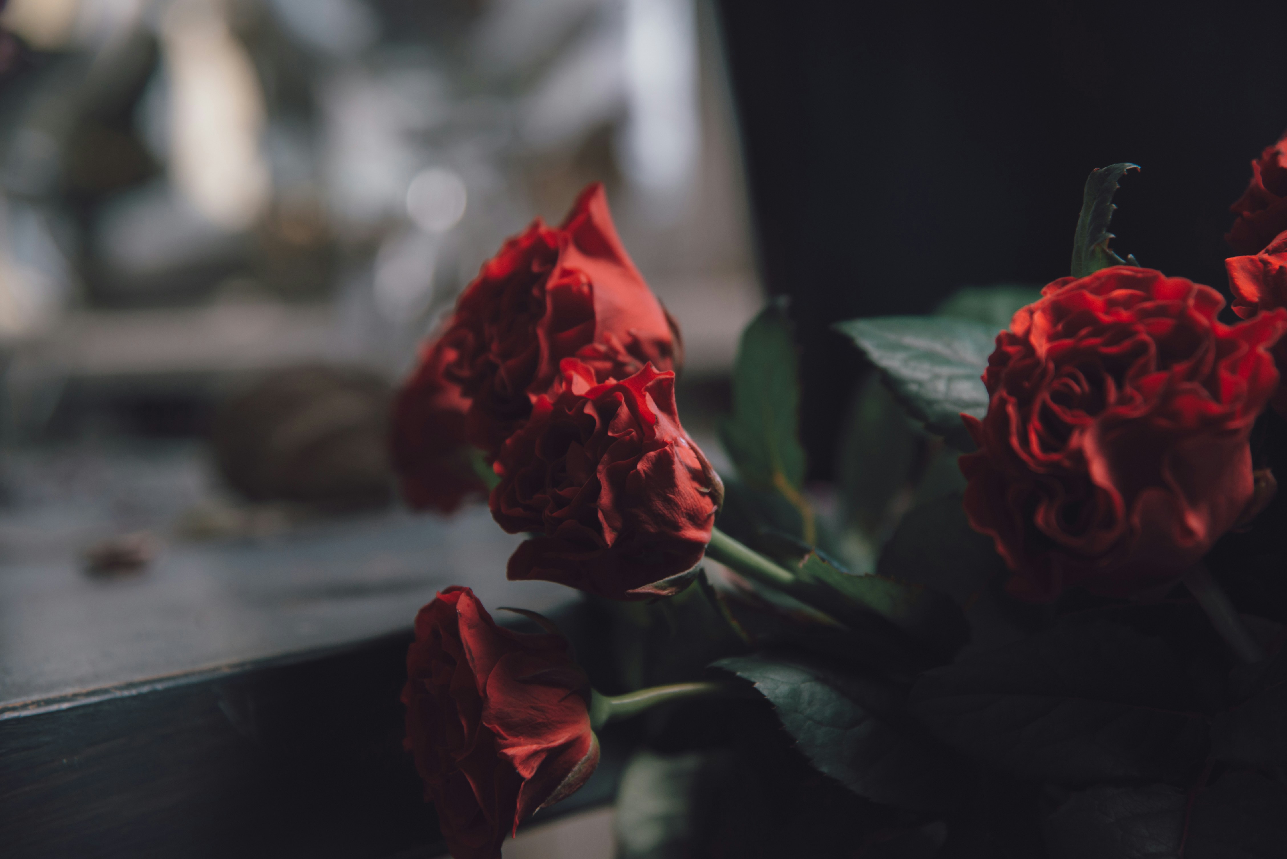Florist | 3 best free florist, flower, rose and pink photos on Unsplash
