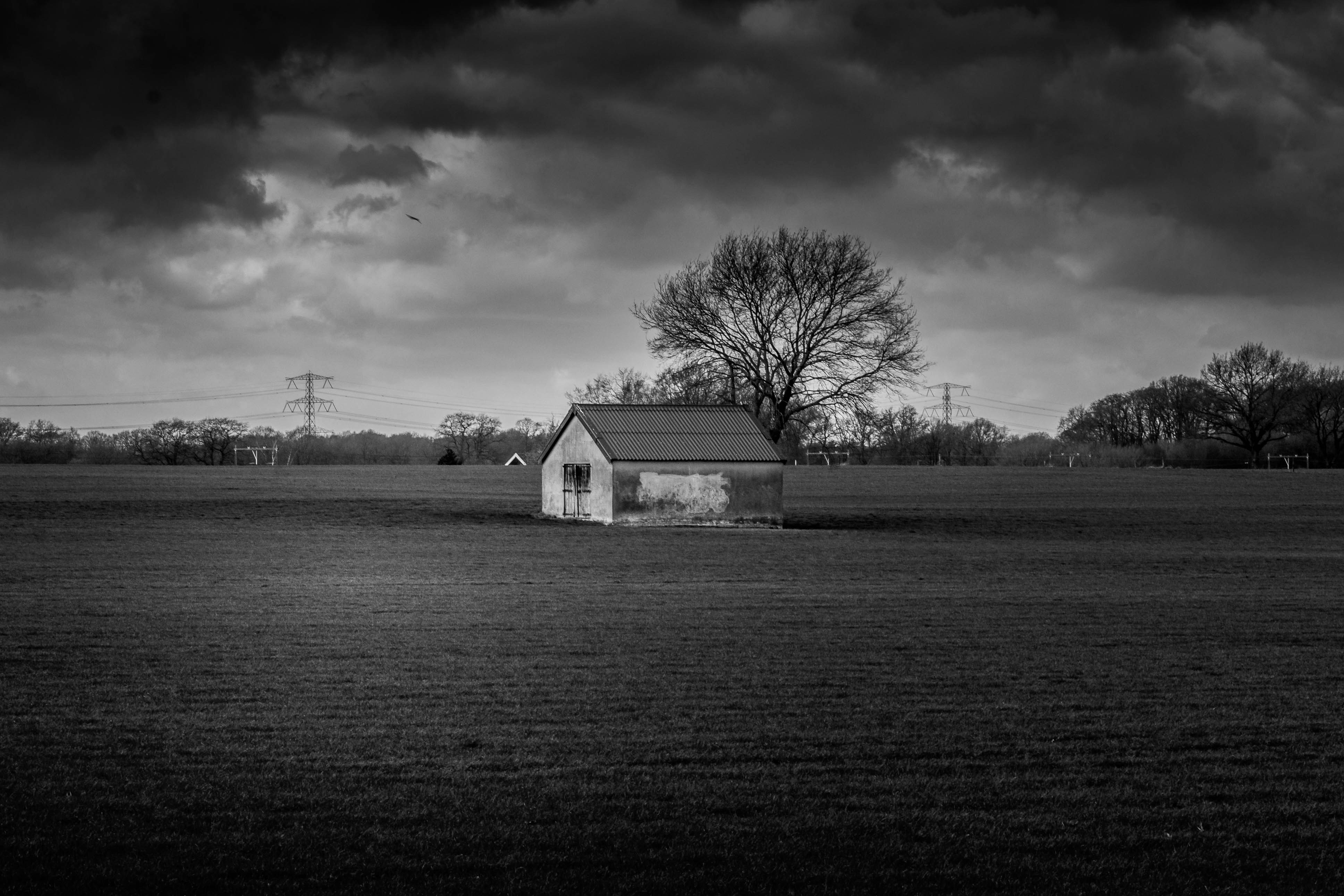 House in middle of open field greyscale photo photo – Free Grey Image ...