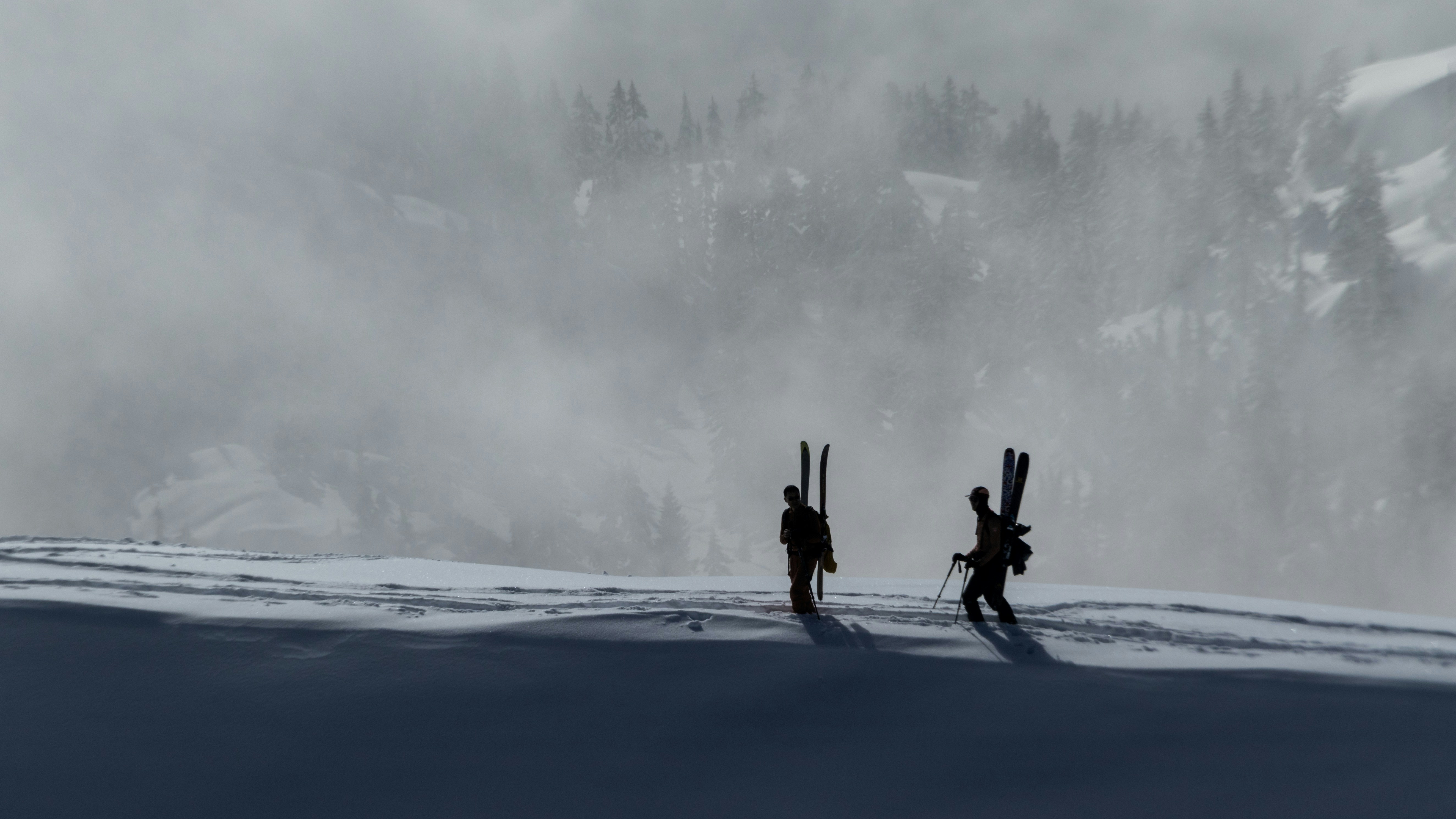 Fogbound Slopes: Silhouetted Skiers Carve Through Winter Mist