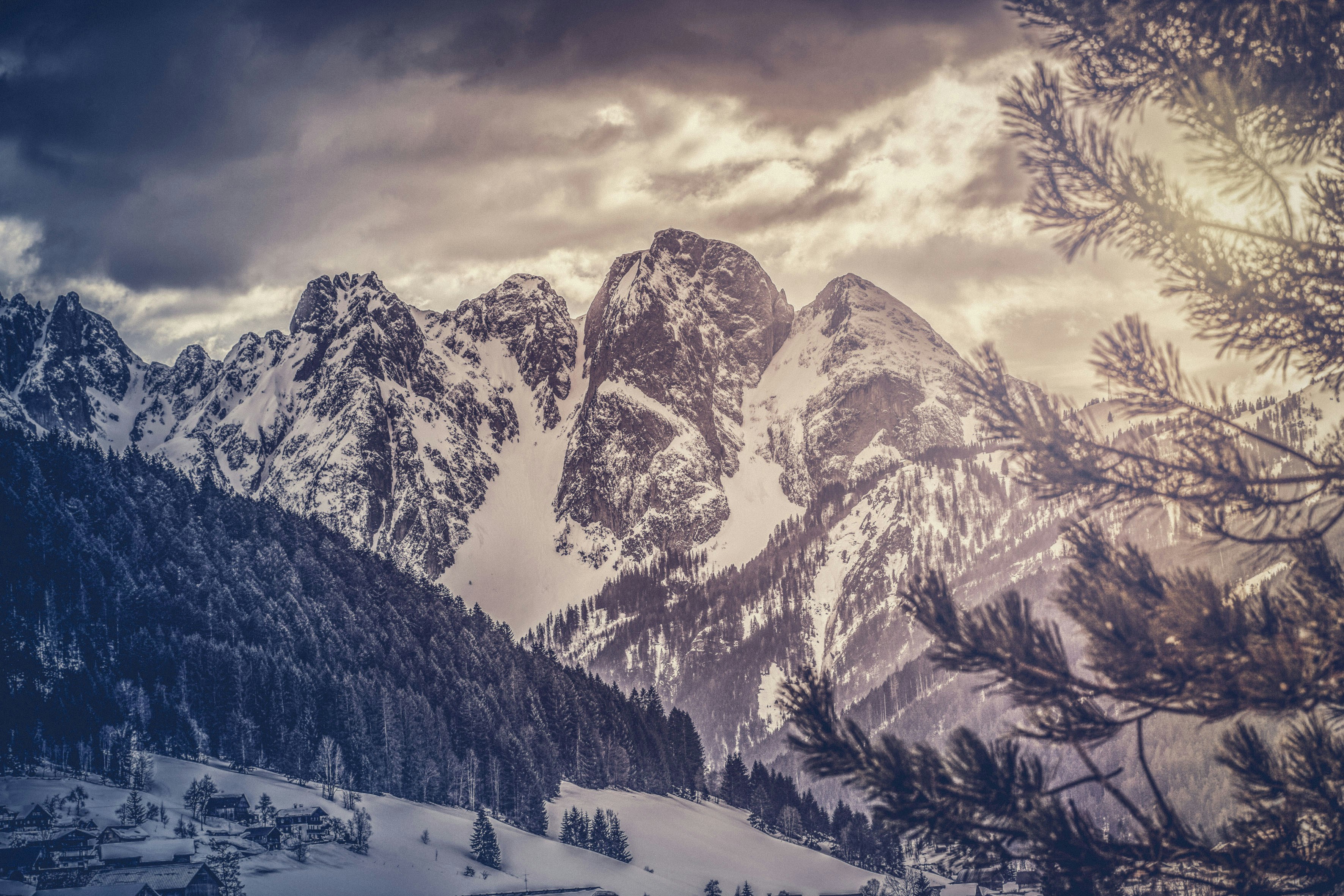 Ivory Heights at Dusk: Snow-Capped Peaks Framed by Frosted Pines