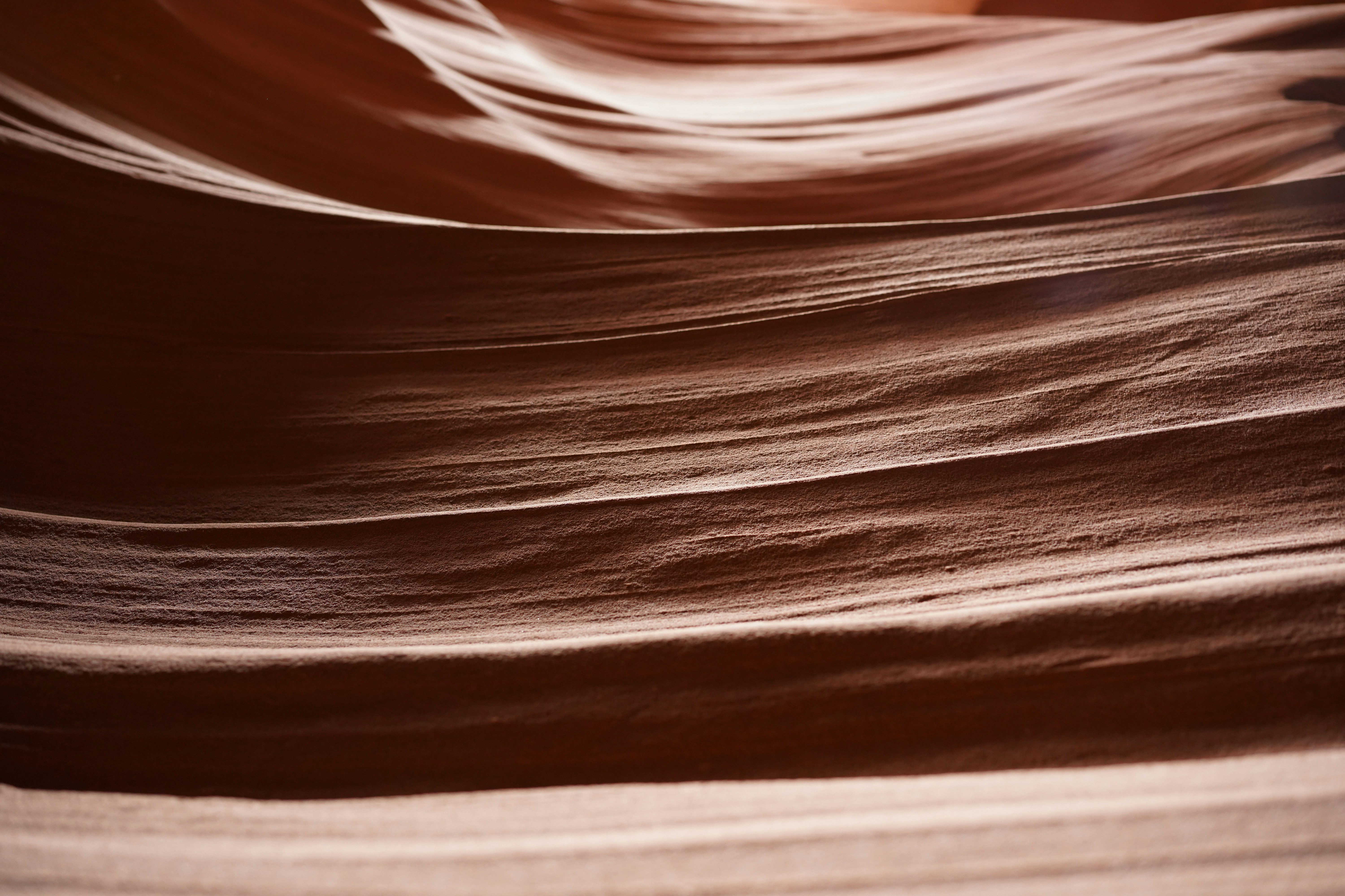 Sol brun photo – Image gratuite de Brun sur Unsplash