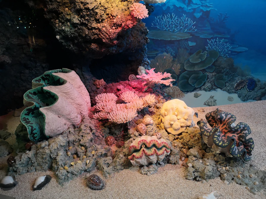 Bright aquarium reef scene with giant clams, soft corals, and blue water over a sandy seabed. Pink, green, and orange coral forms cluster around a rocky outcrop.