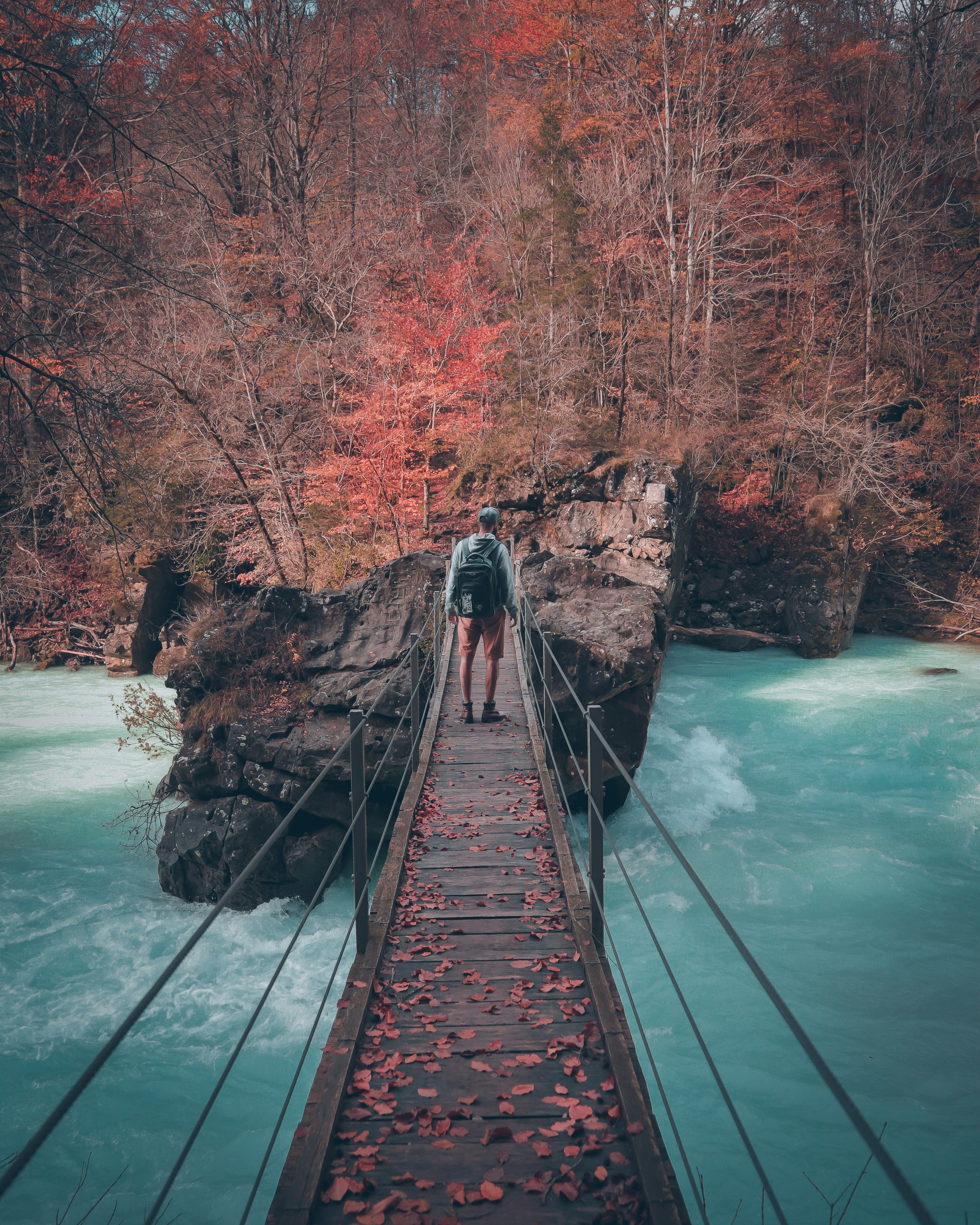 Autumn Wanderer on a Leaf-Lined Bridge