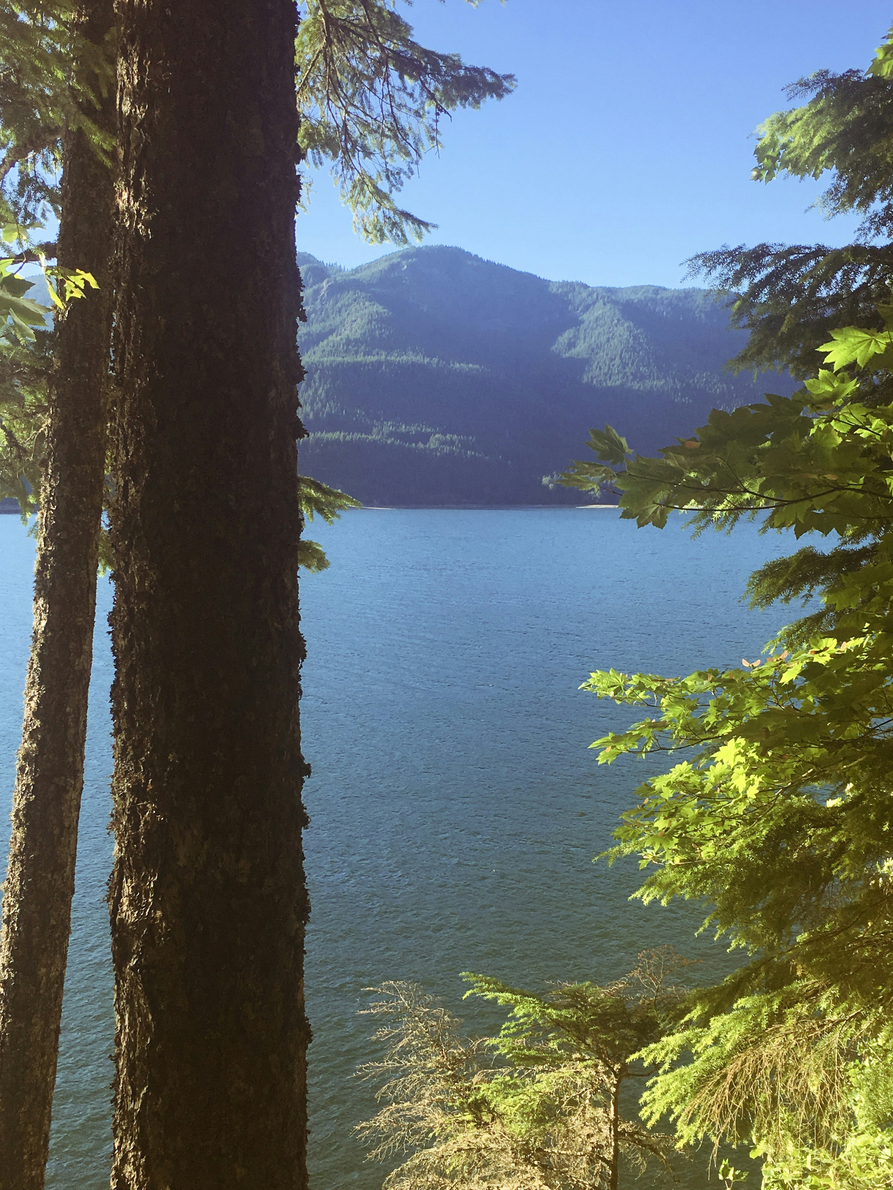Tranquil lake view framed by towering trees, with distant mountains reflecting in the calm water. 
