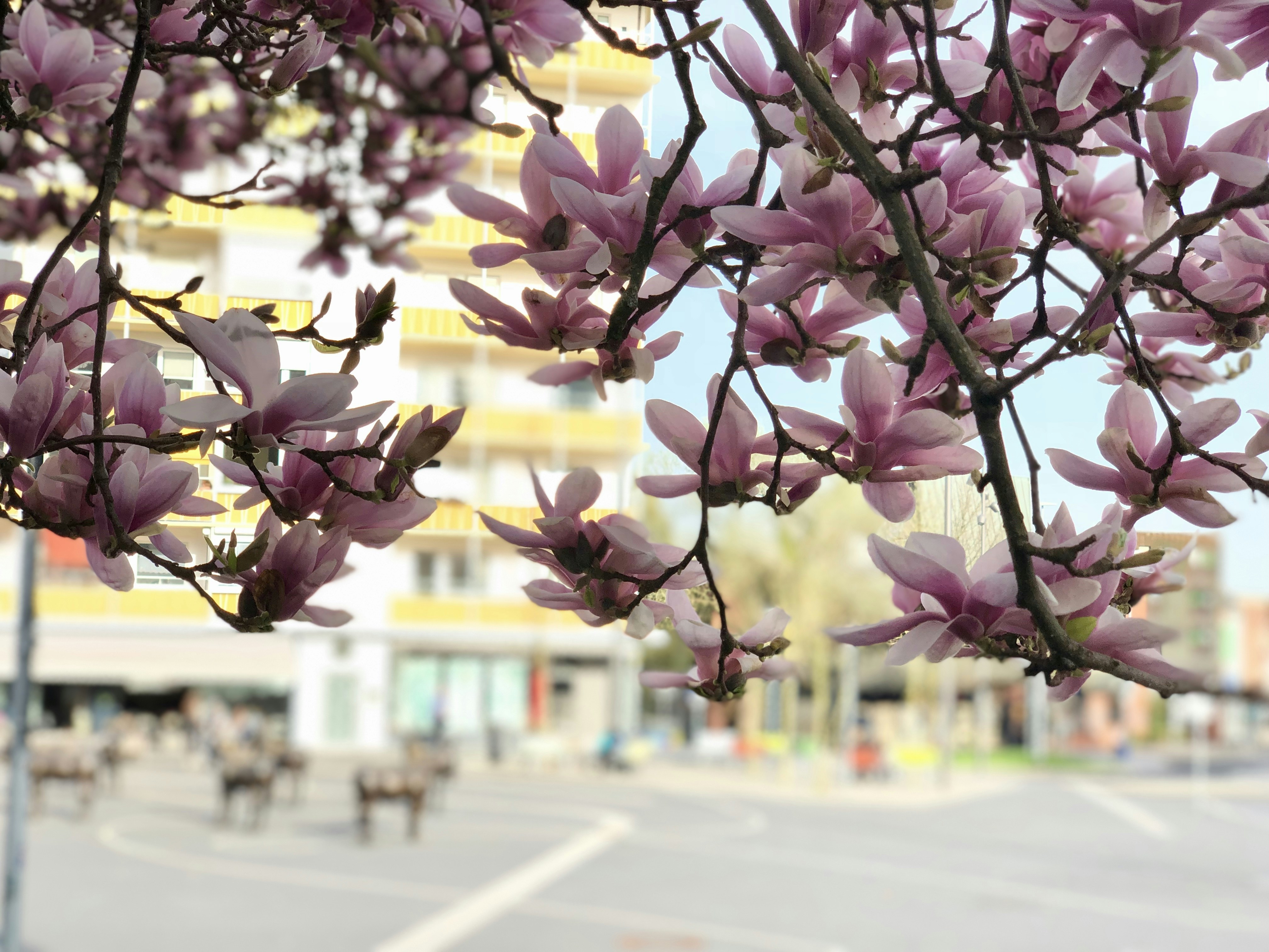5AM JACKSON (@the5am23) | Unsplash Photo Community