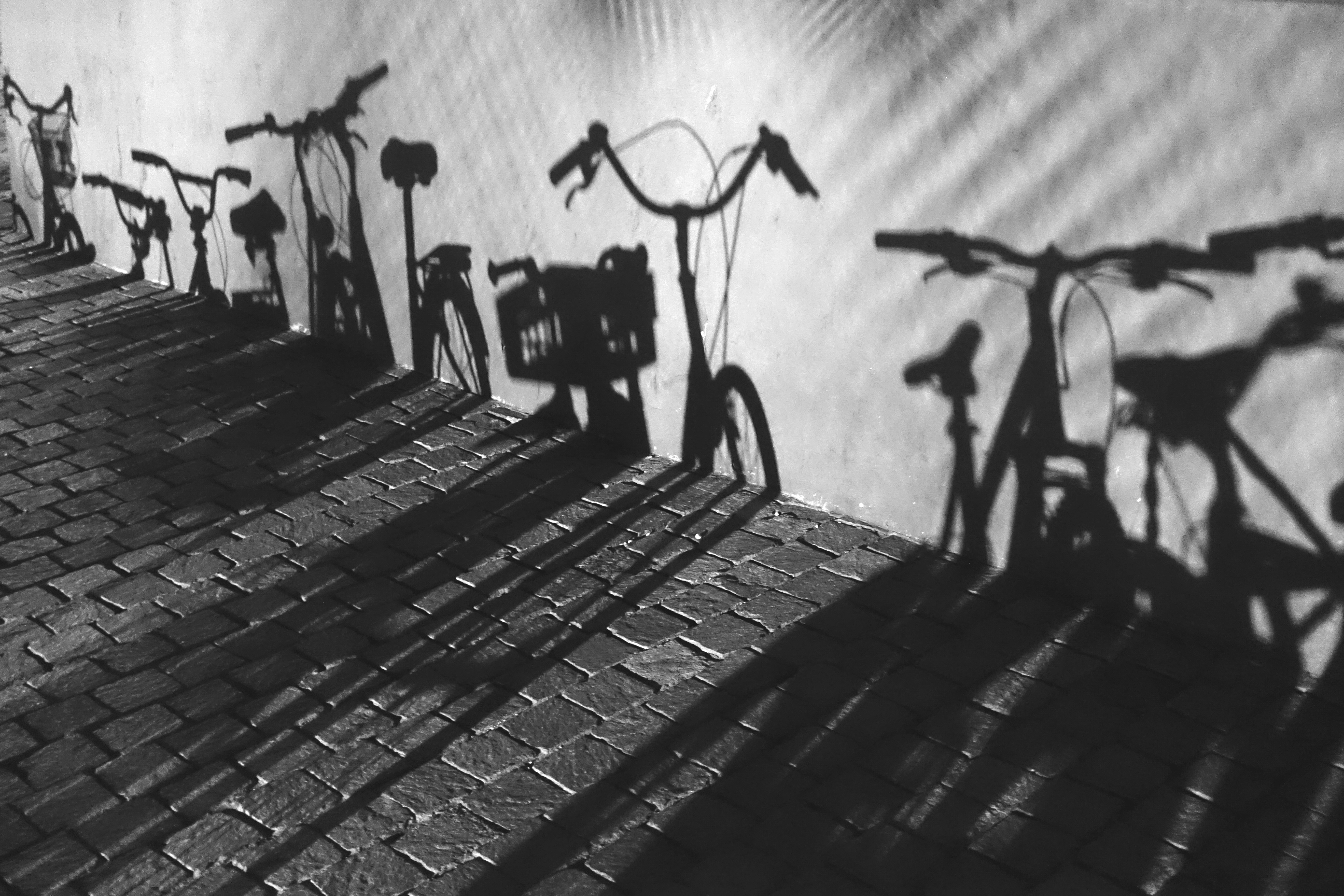 Silhouetted bicycles casting intricate shadows against a textured wall, creating a dance of light and form.
