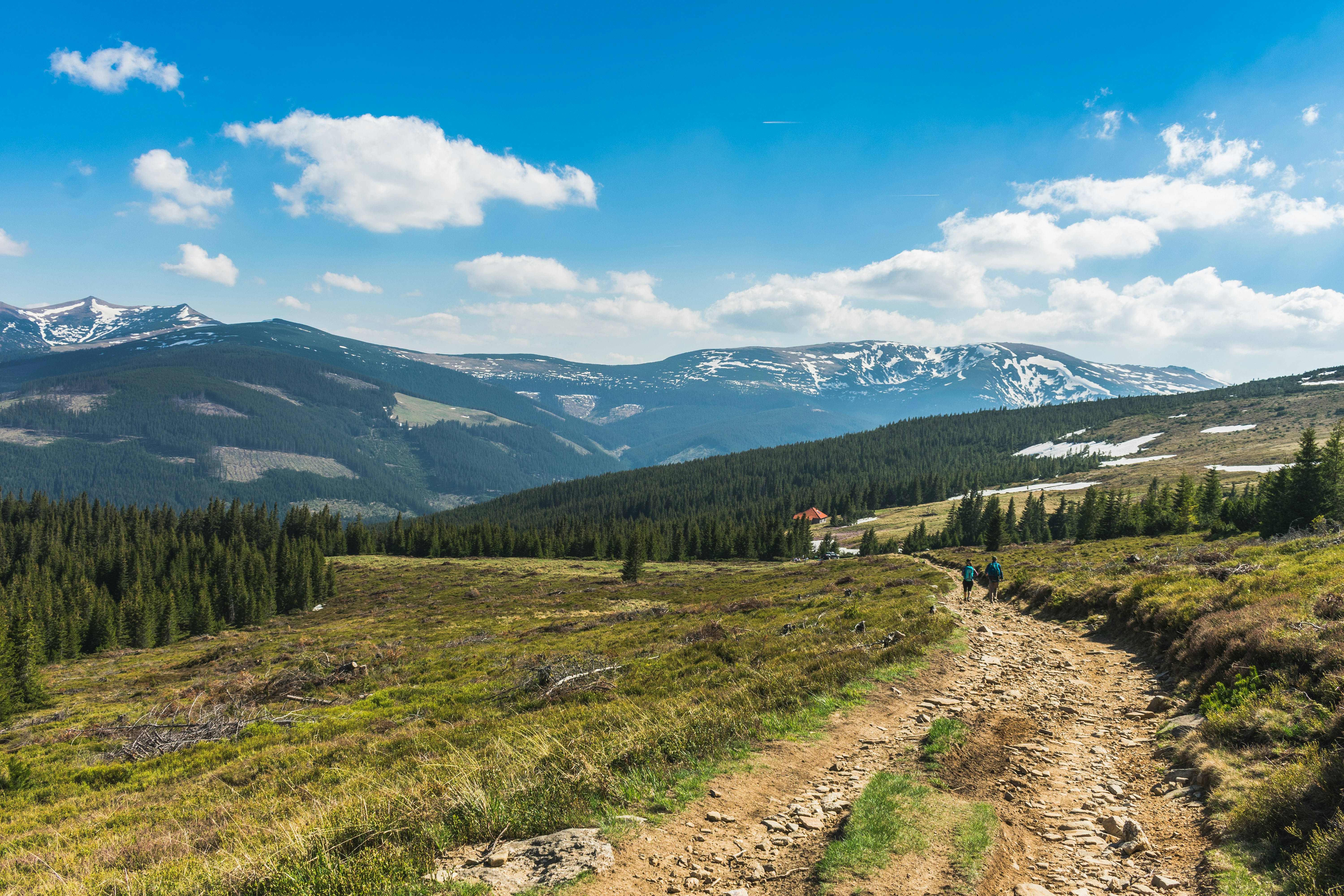 This captivating image captures a serene mountain landscape with a rocky path meandering through lush green fields and dense forests. The vibrant blue sky, dotted with fluffy white clouds, contrasts beautifully against the snow-capped mountain range in the distance. The crisp lighting and vivid colors create an inviting and tranquil atmosphere, making the scene visually striking and inviting for adventurers.