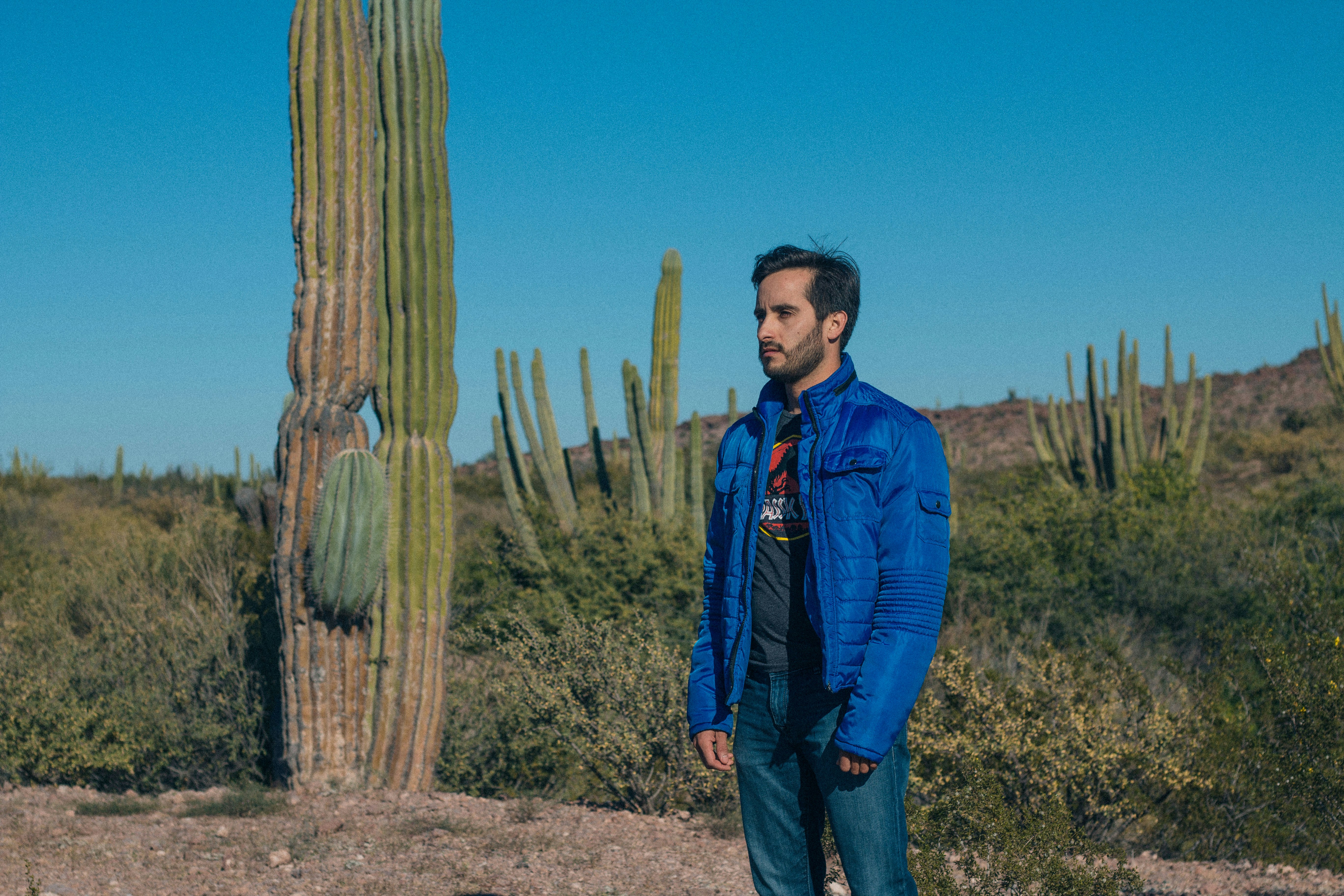 Desert Portrait in Midnight Blue