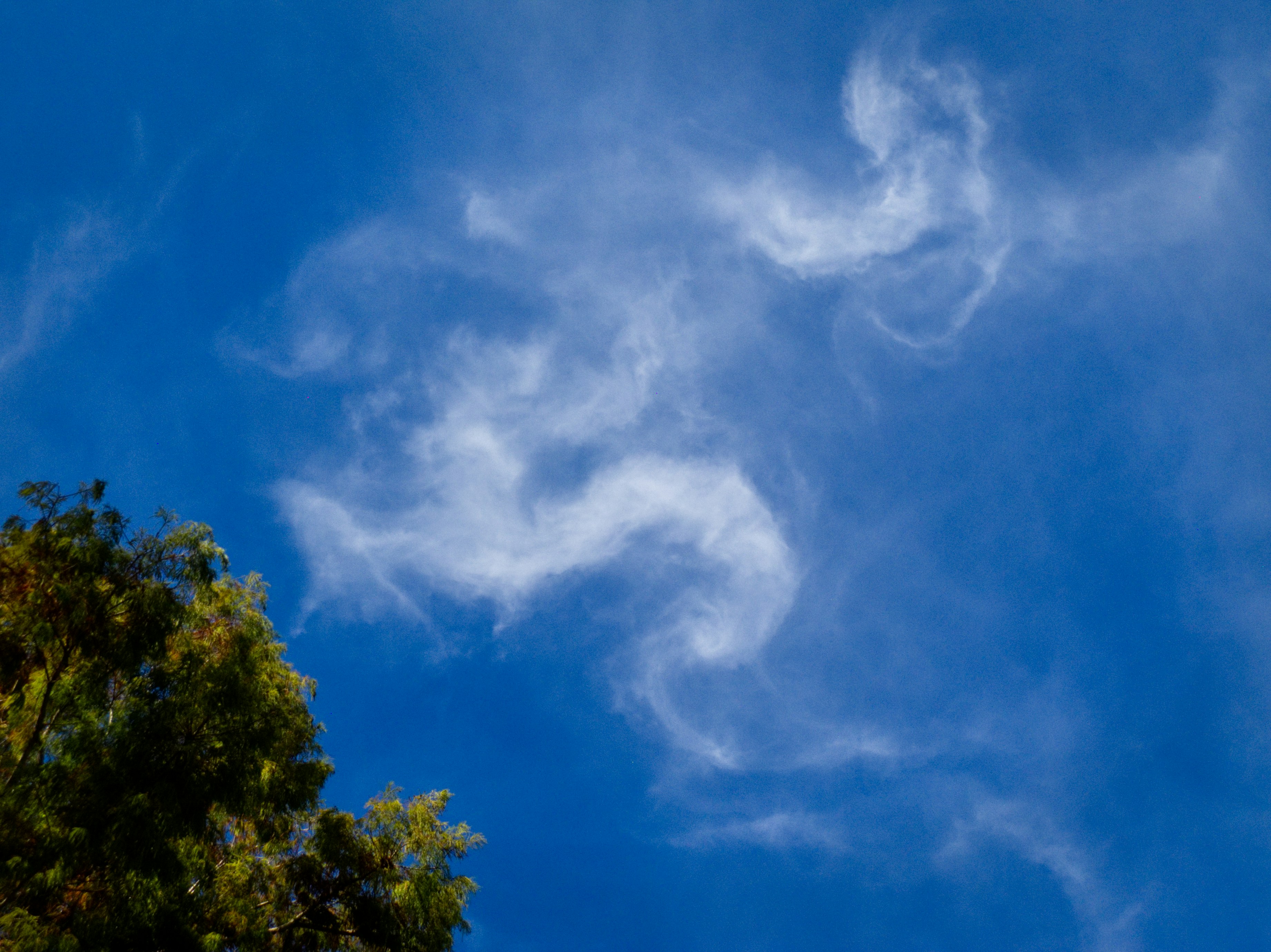 Wispy clouds swirling against a deep blue backdrop, framed by lush green foliage below.