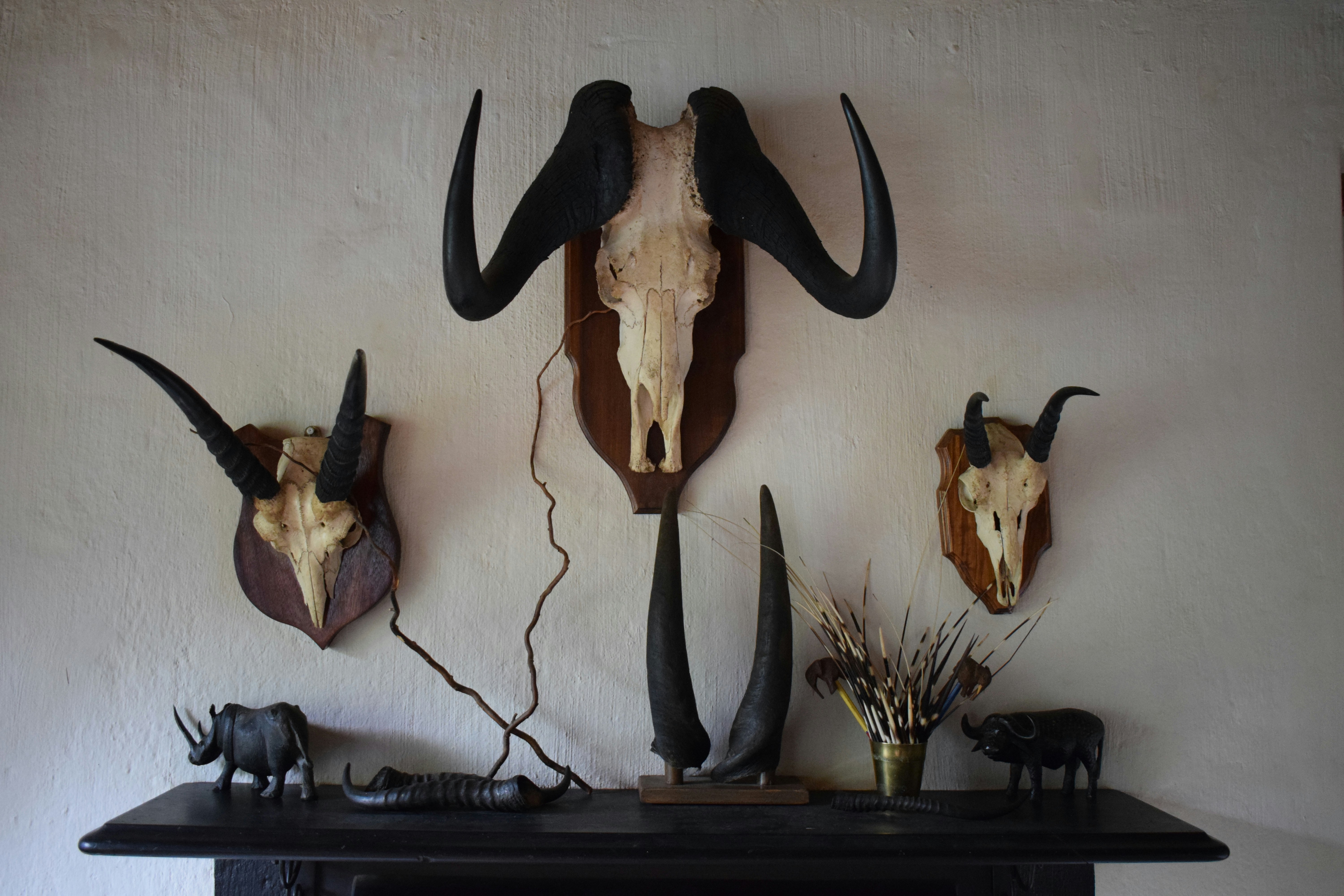 three animal skull wall decors