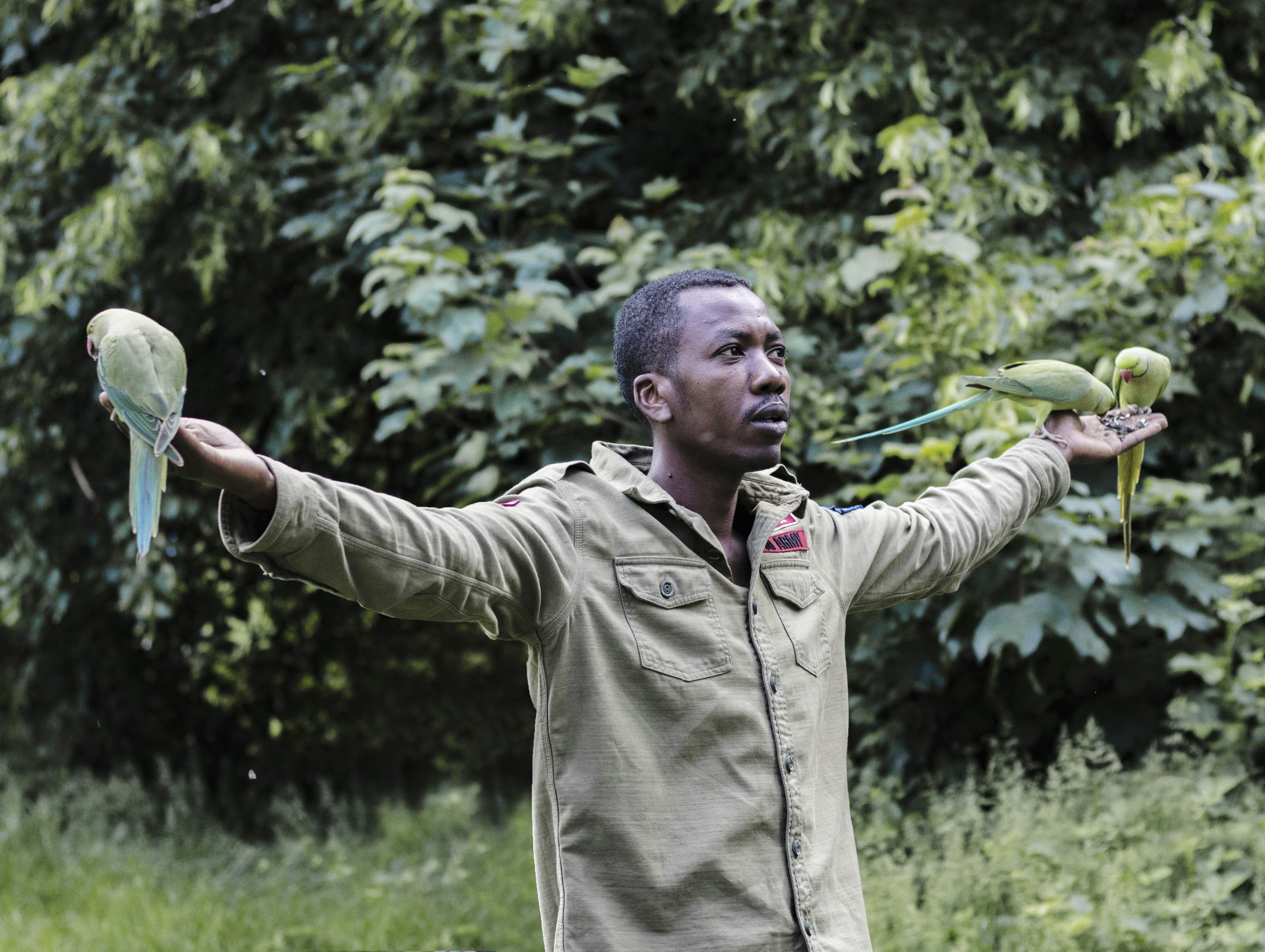 Définition de génial | Dictionnaire français