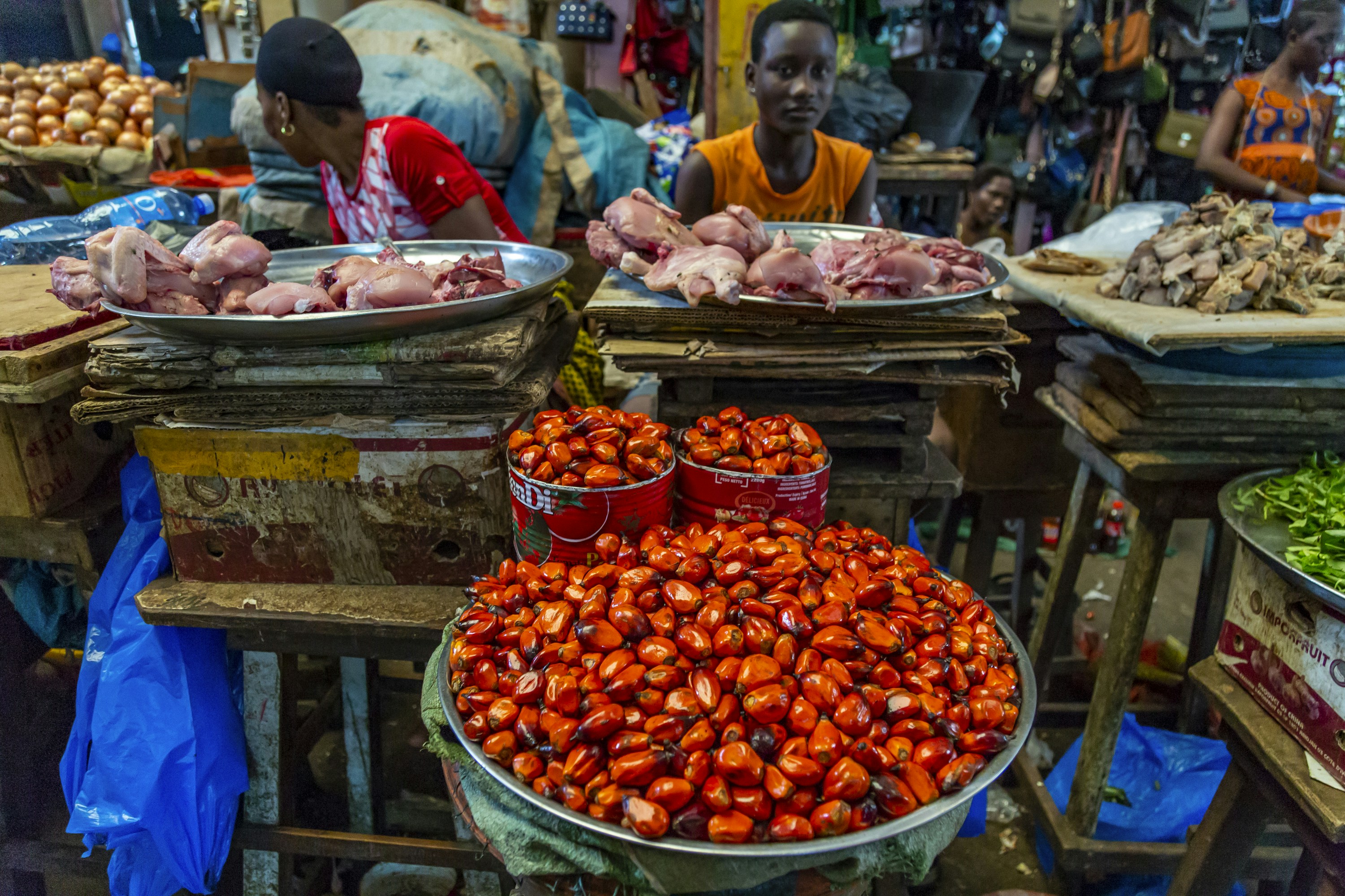 Ivory Coast: Culture & Traditions Revealed