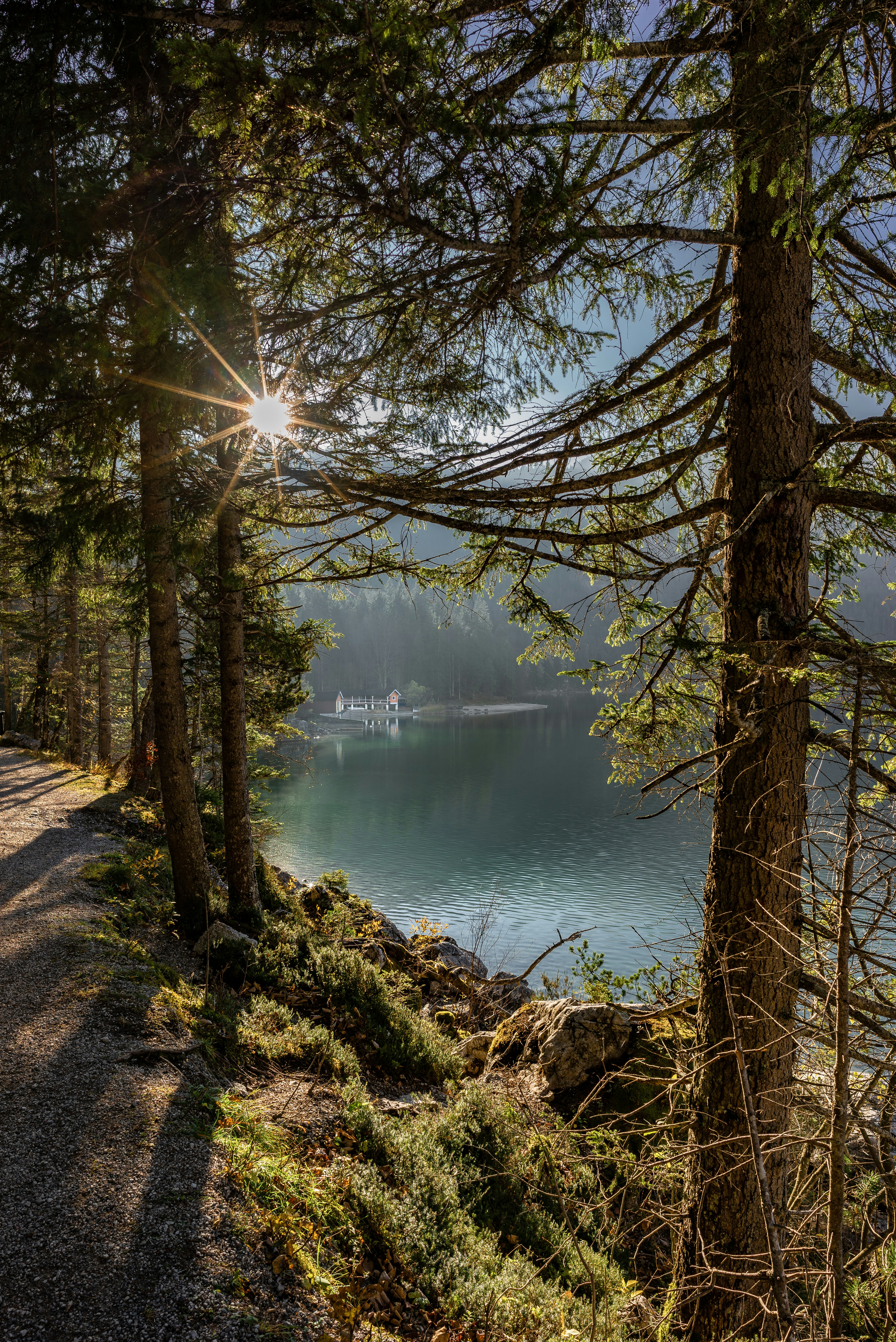 Sunlight filters through trees beside a serene lake, revealing a small dock in the distance. A peaceful path meanders along the water's edge.