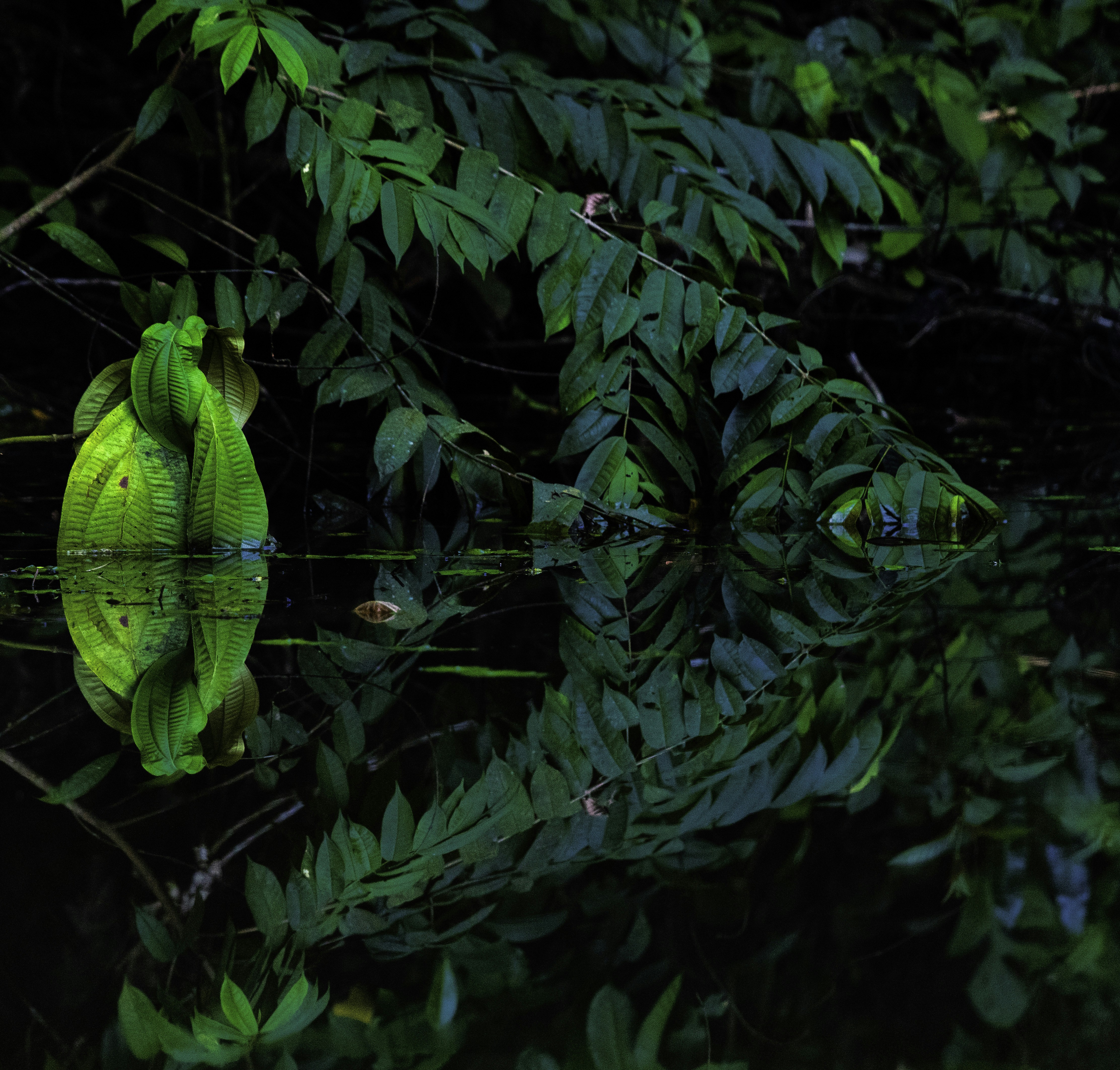 A large green object floating on top of a body of water photo – Free ...