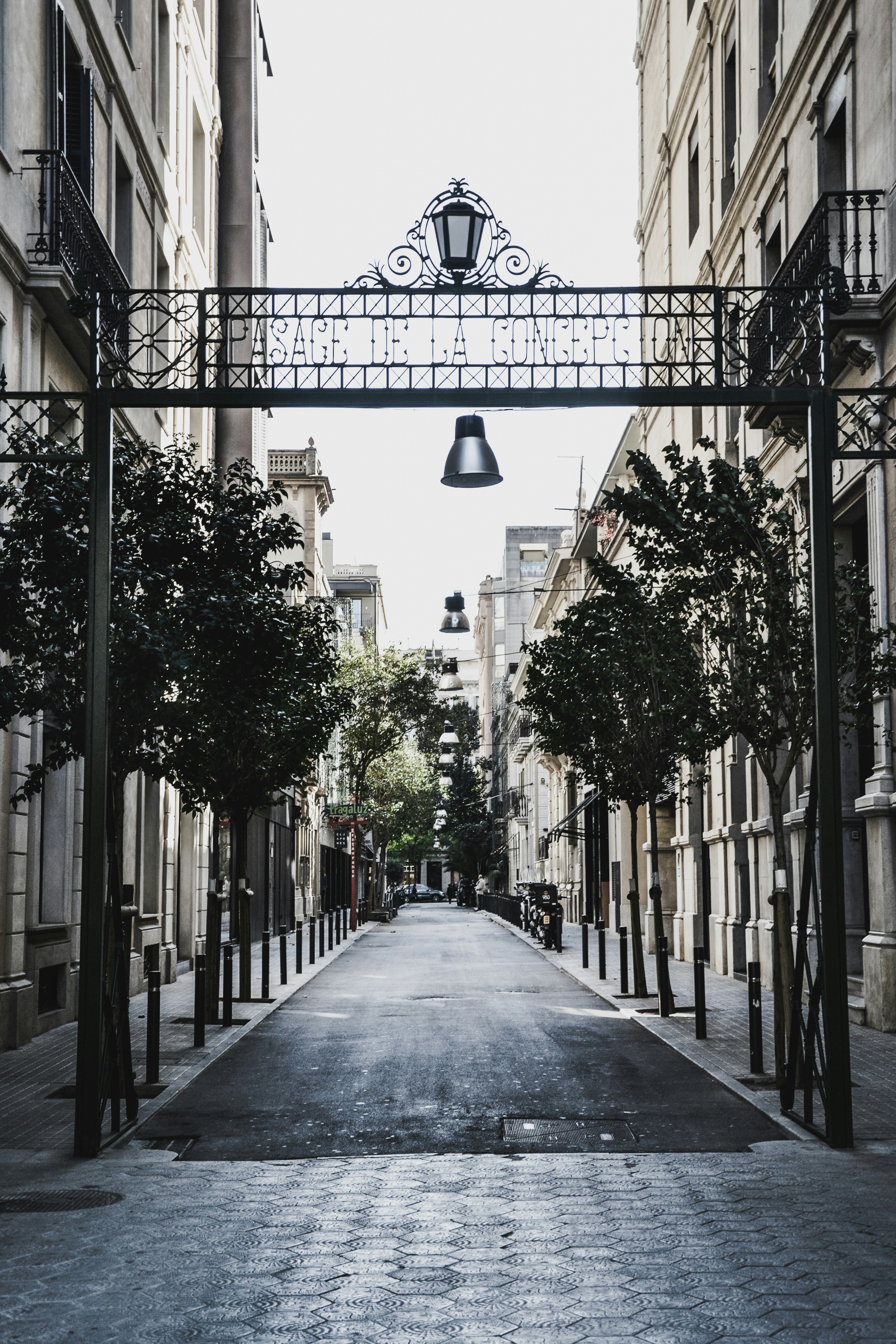 A serene street framed by elegant architecture and lush trees, leading to a distant focal point. The scene conveys a sense of calm and urban charm.