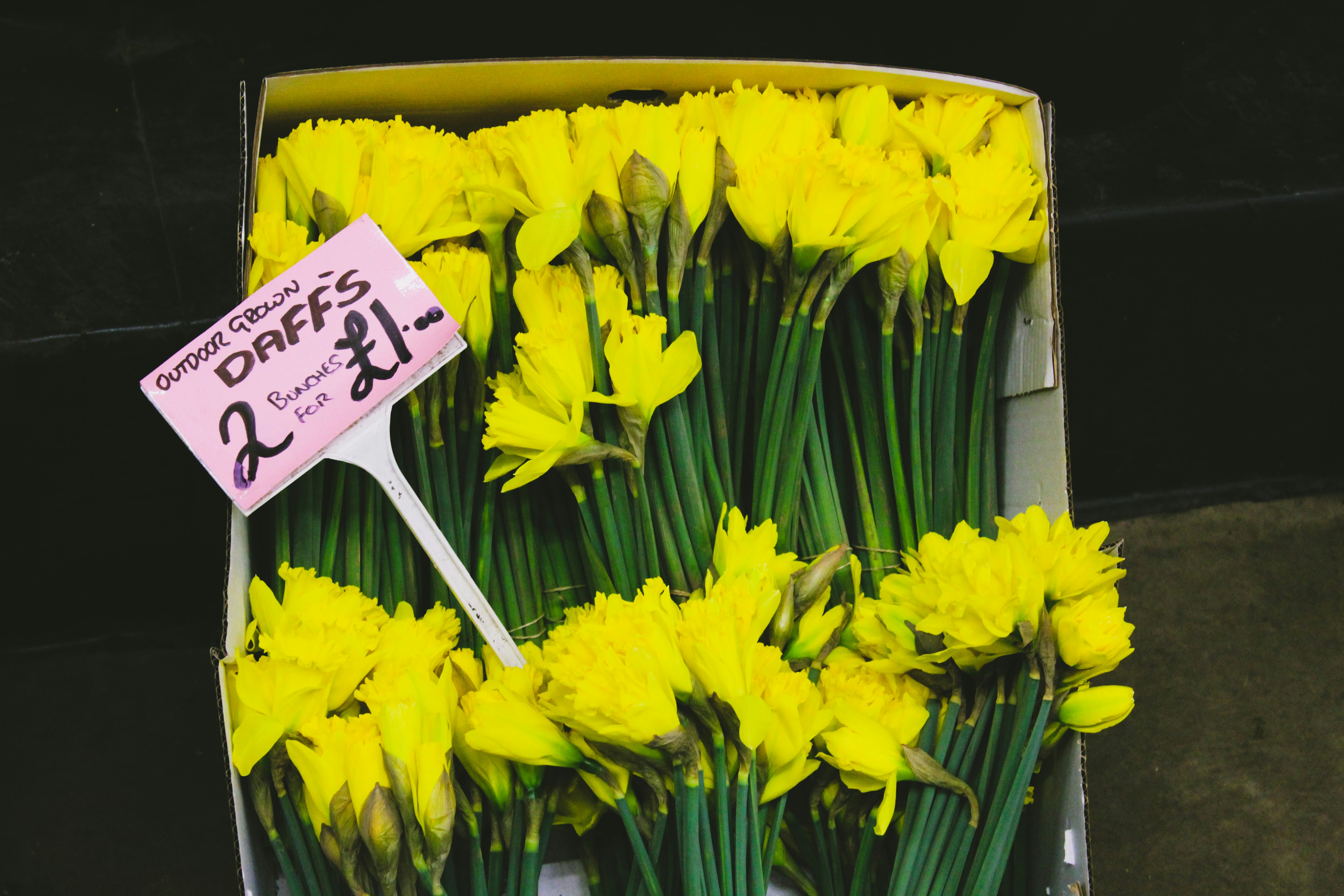 Sun-Washed Daffodil Crate: Bright Market Stacks