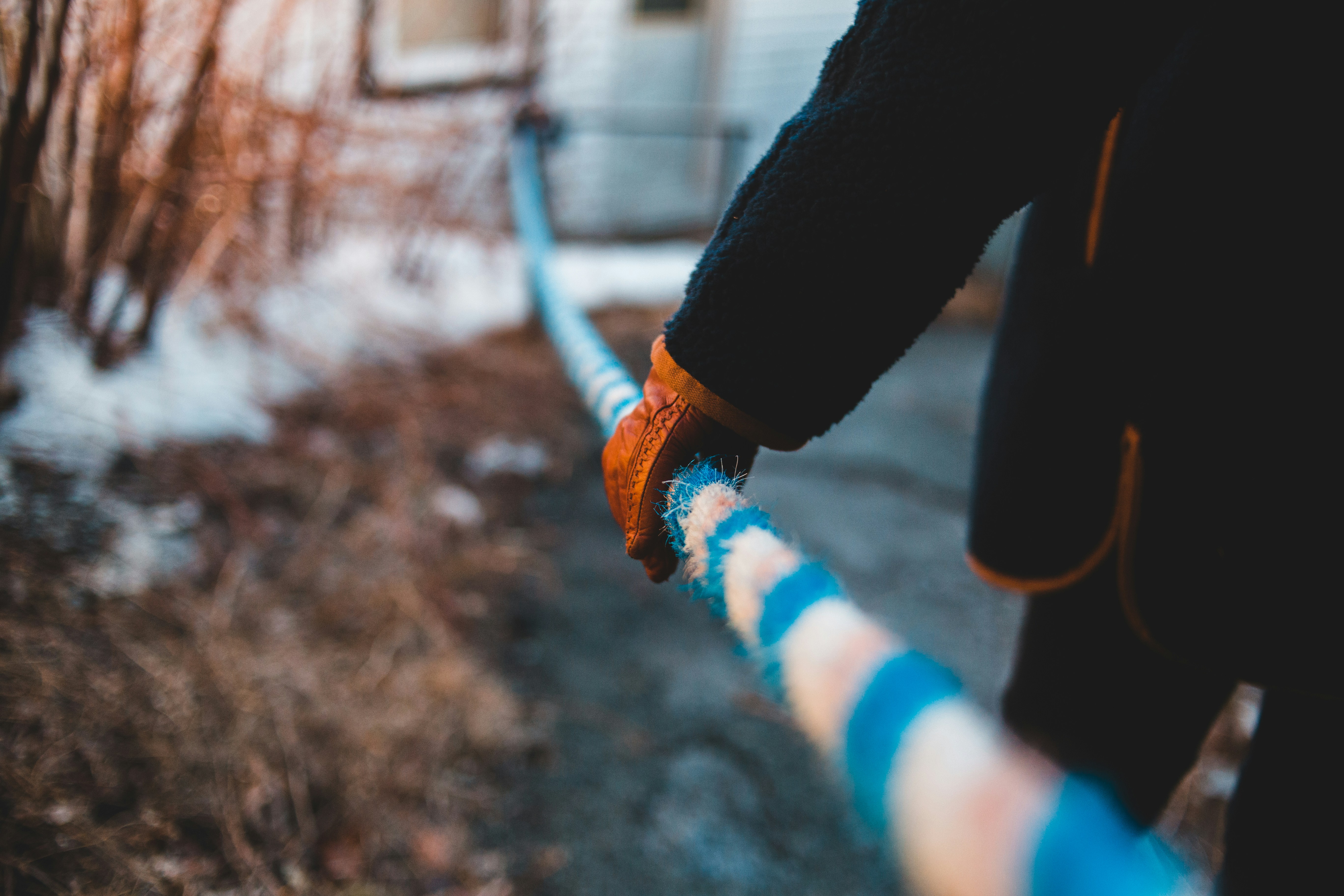 person holding blue-and-white rope during daytime