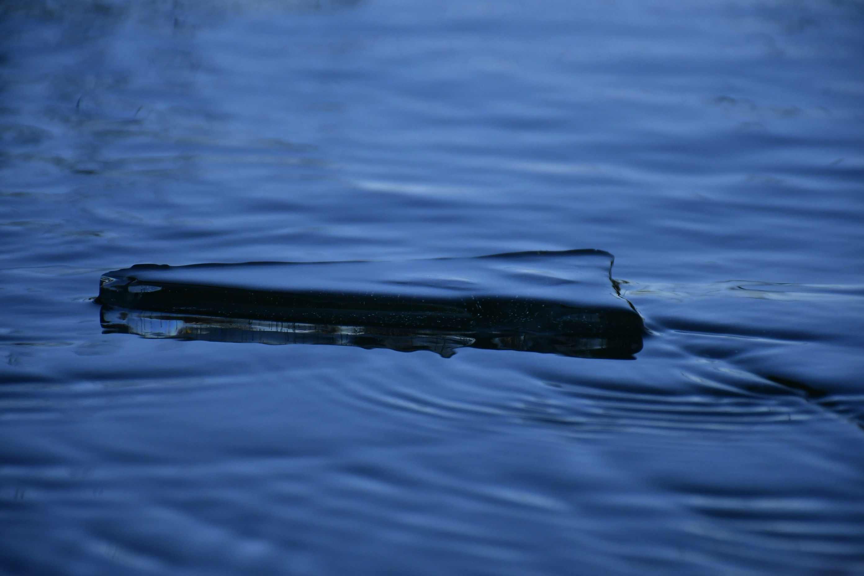 body of water