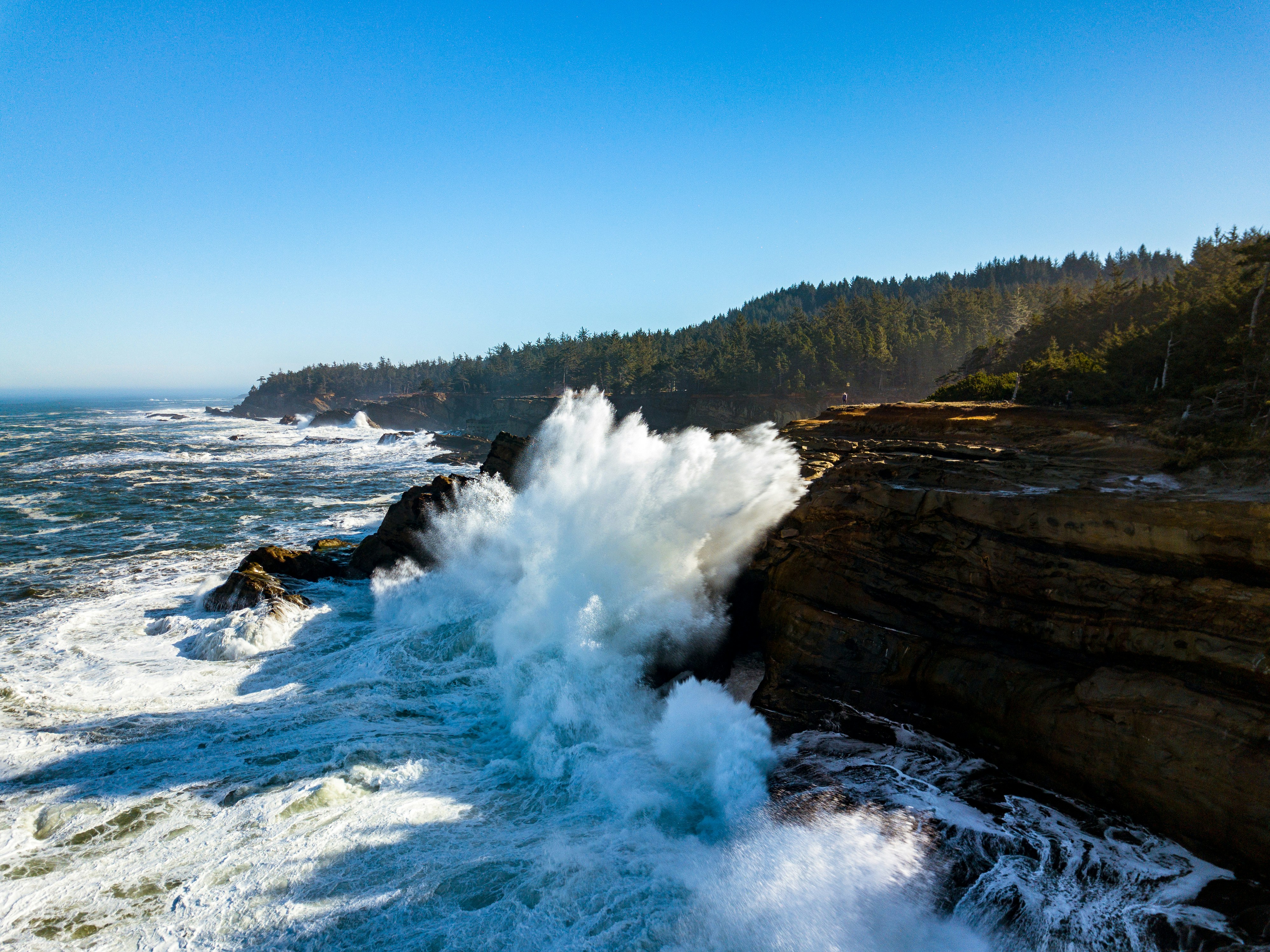 Waves crashing against rocky cliffs under a clear blue sky along a forested coastline.