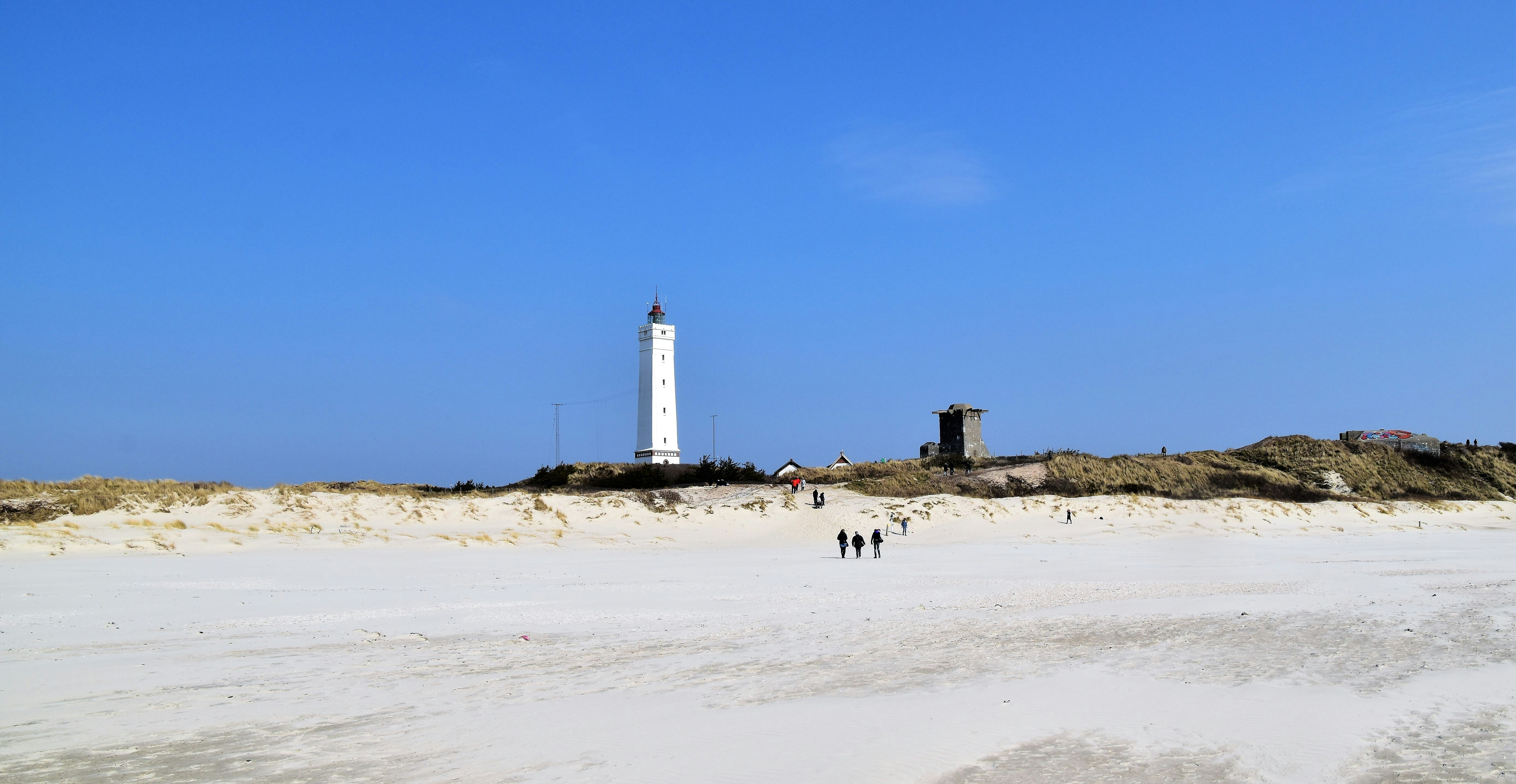 Beacon on the Bare Shore: A Quiet Morning at the White Lighthouse