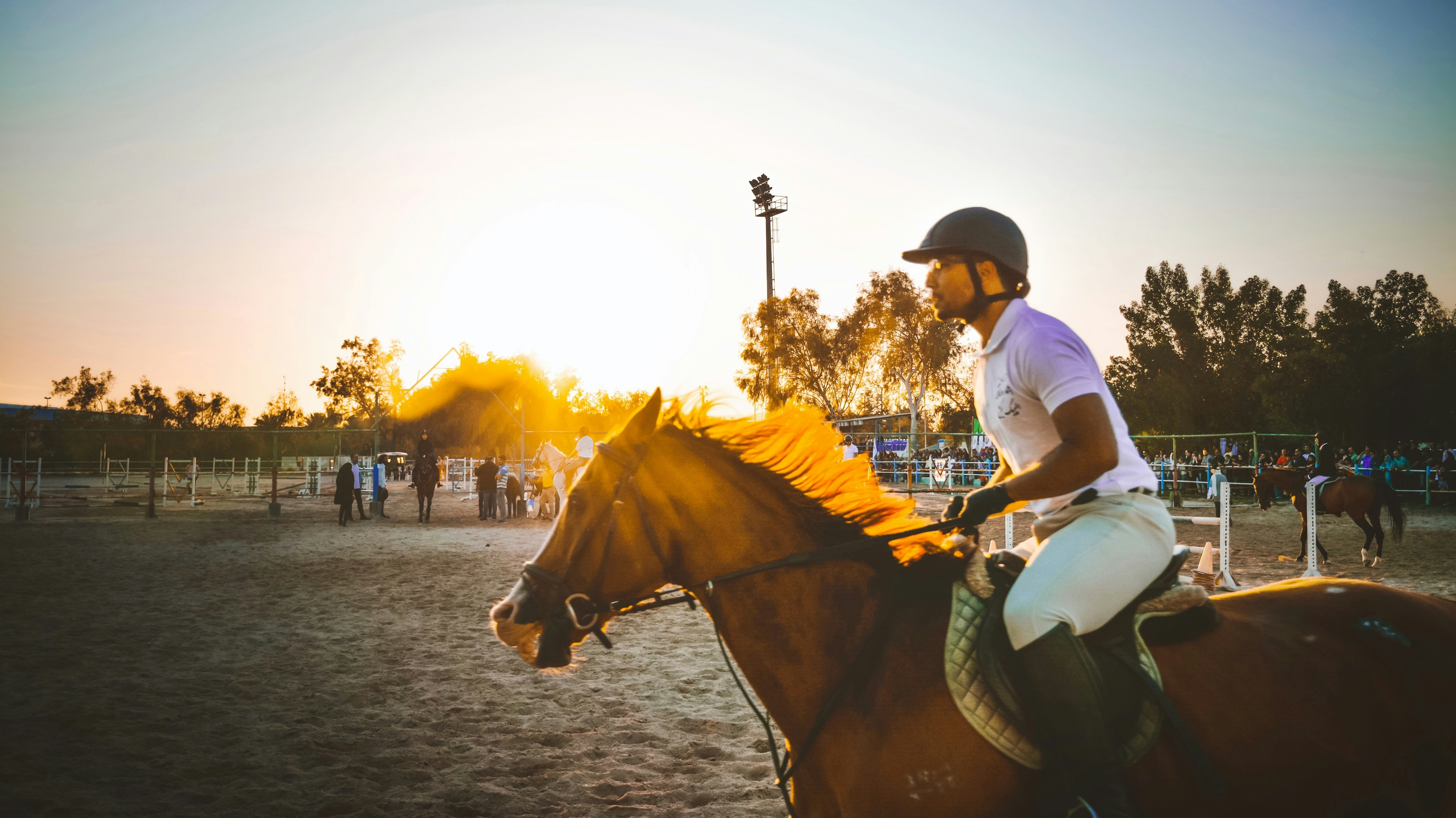 Golden Hour Gallop: A Rider Tracing Light Across the Arena