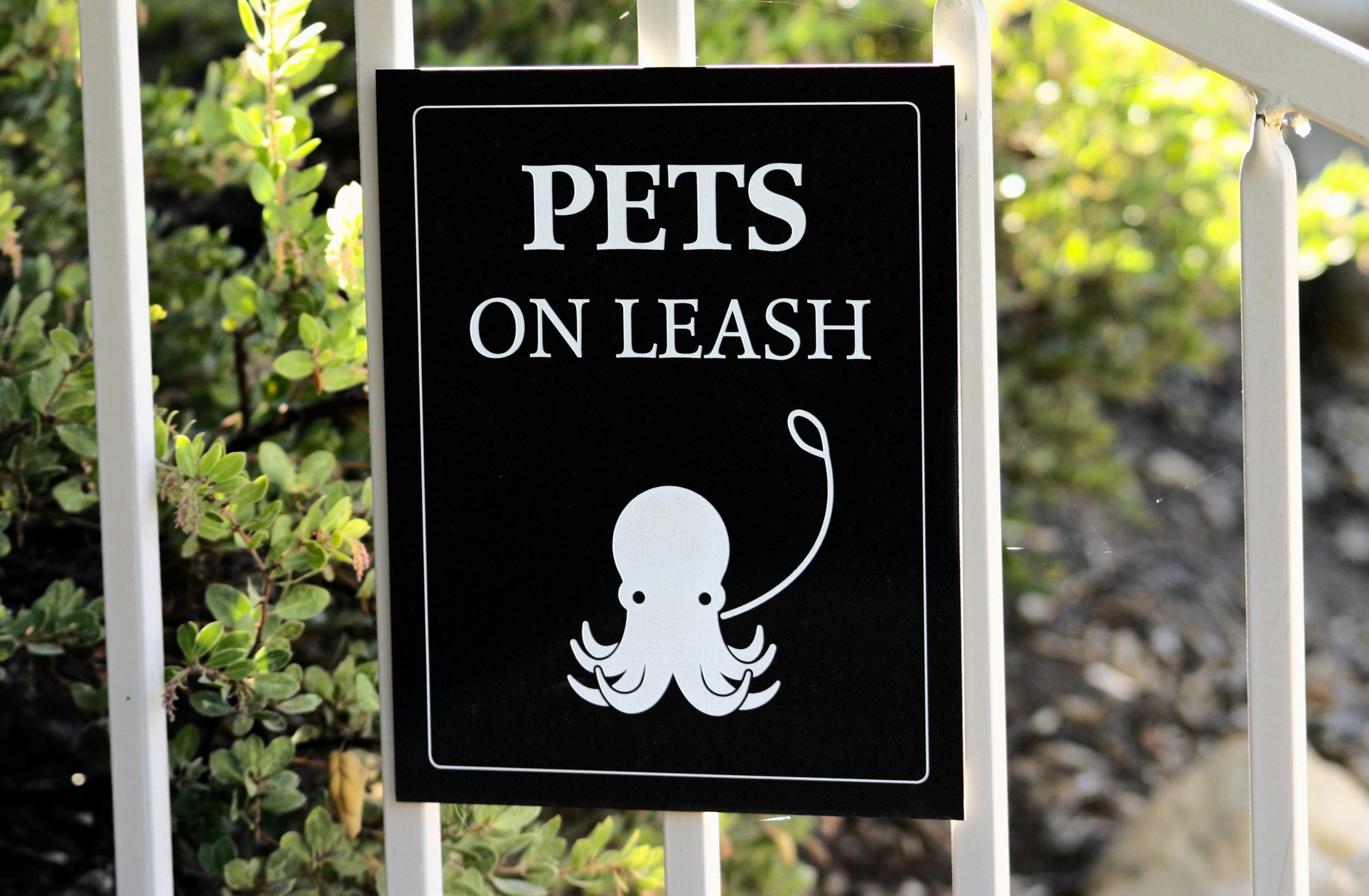 Pets on Leash Sign with Playful Octopus Graphic