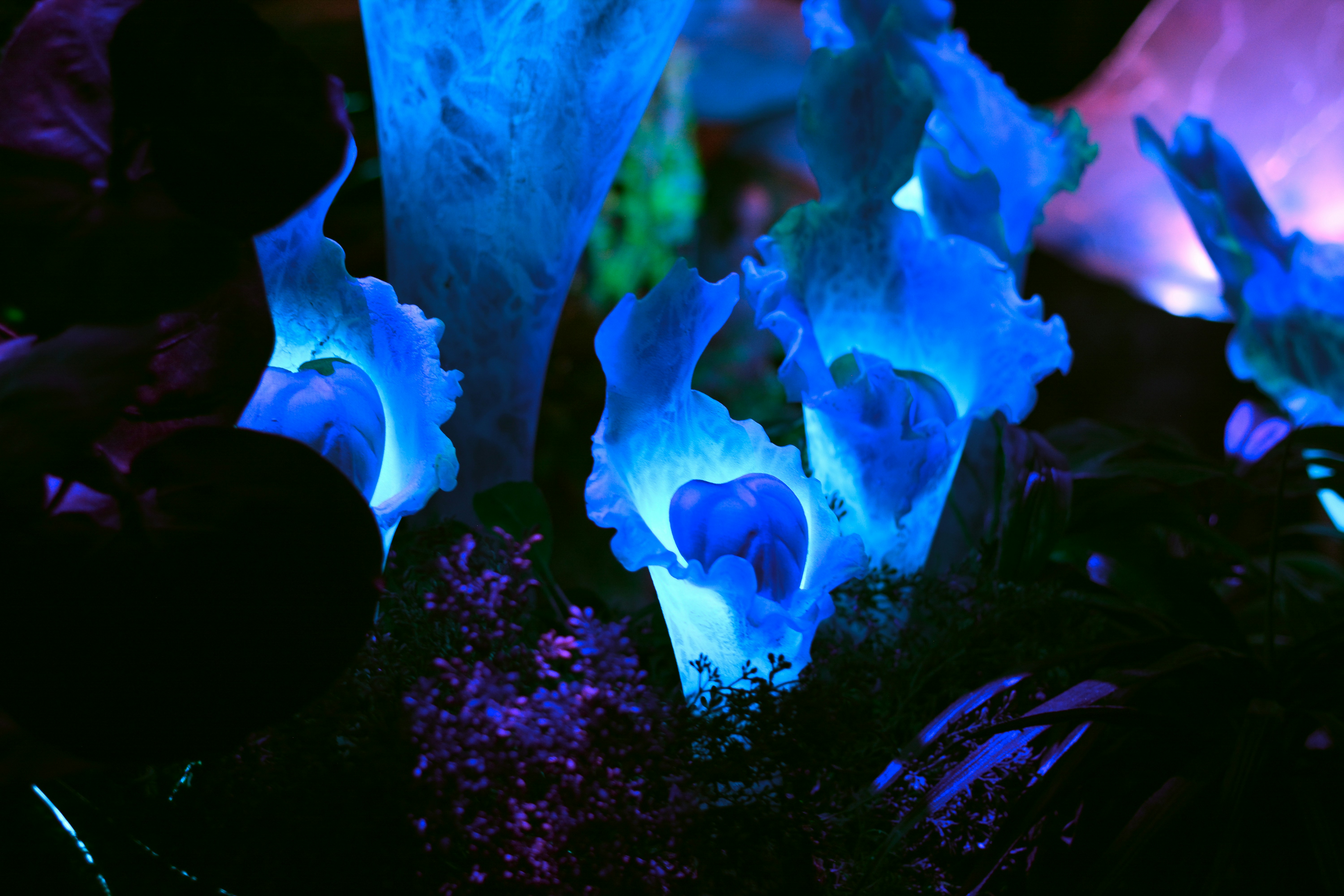 Blue Bioluminescent Blossoms: A Neon Night Garden