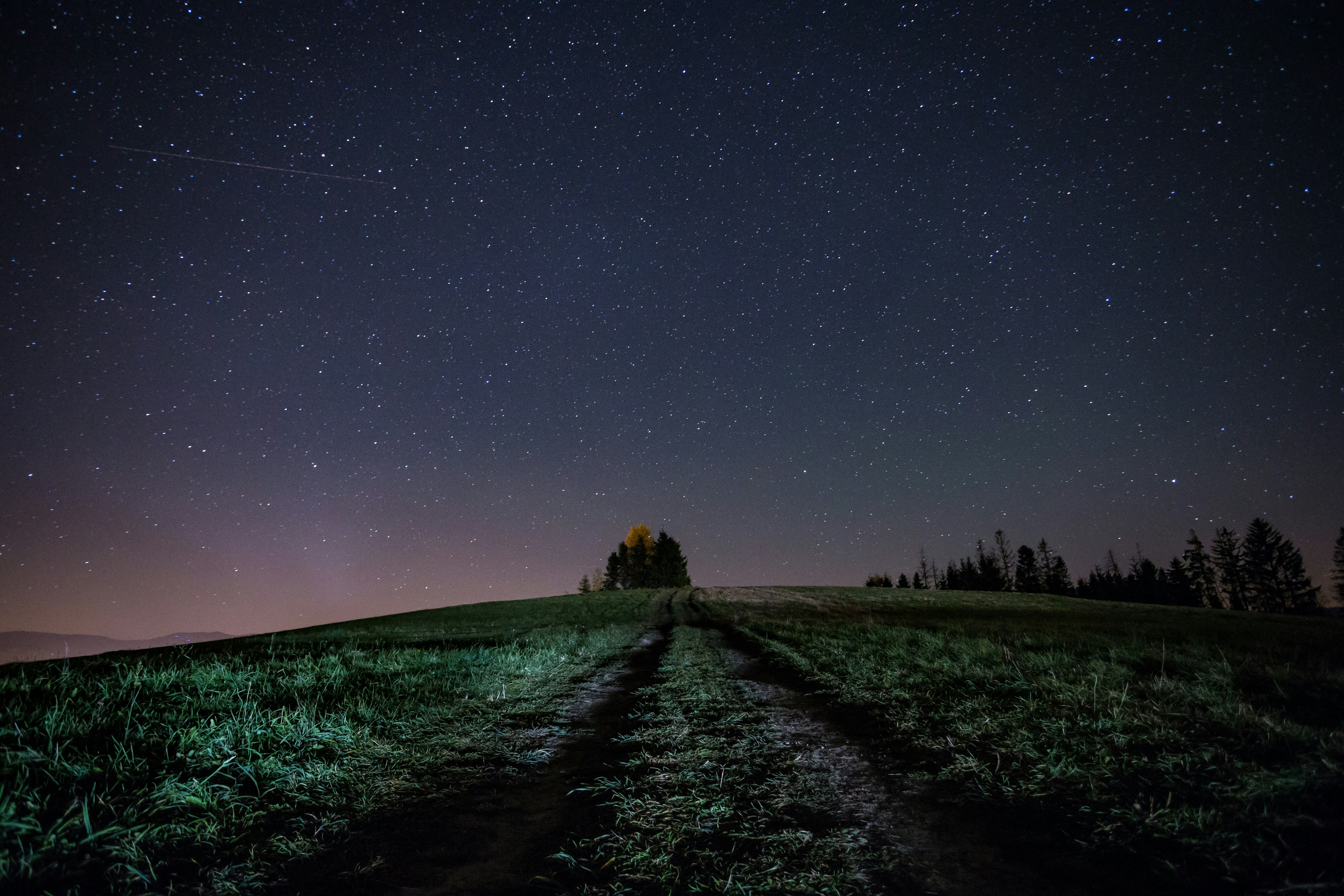 Grass Field Night Wallpaper
