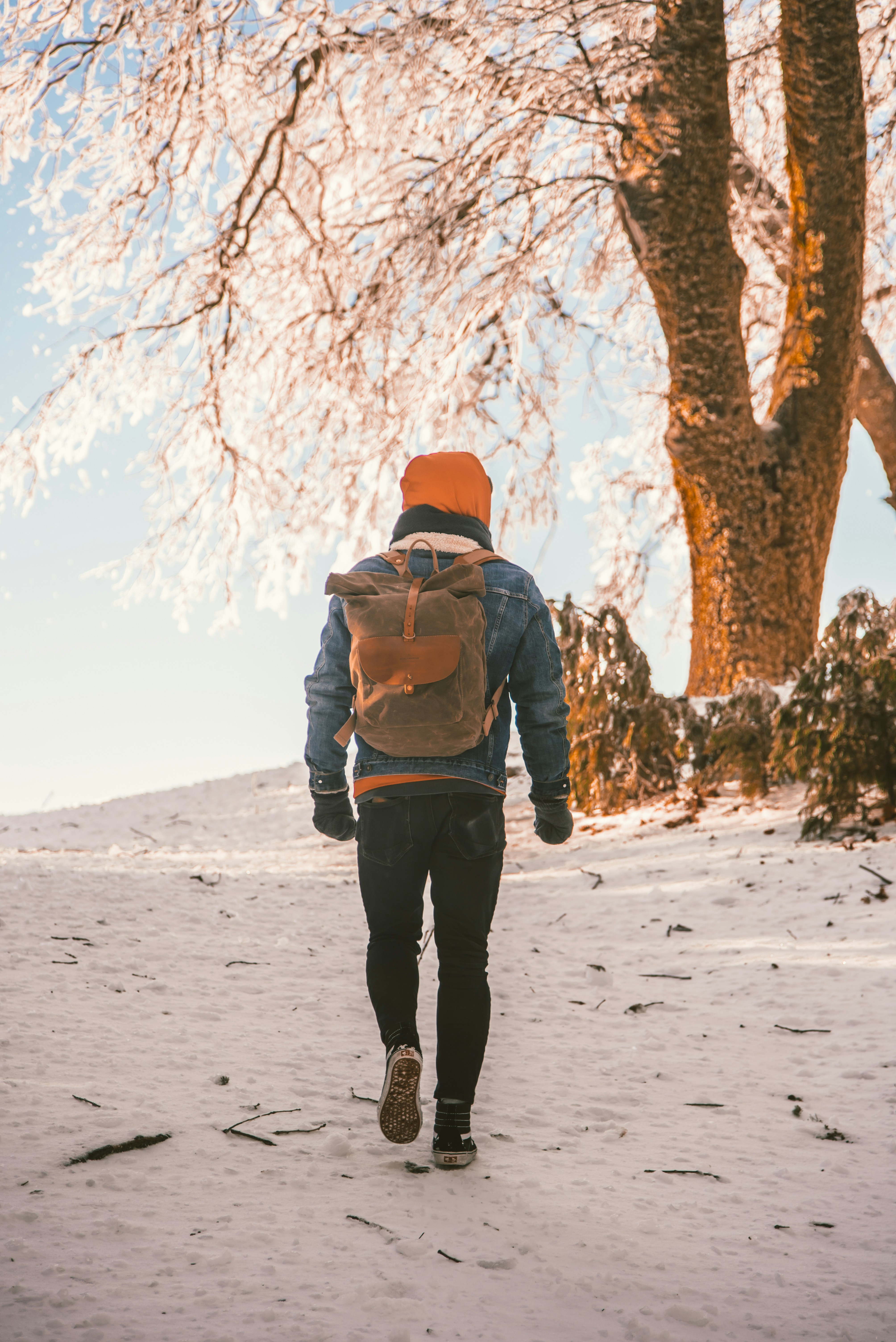 Person walking through a snowy landscape, surrounded by frosted trees under a clear blue sky.