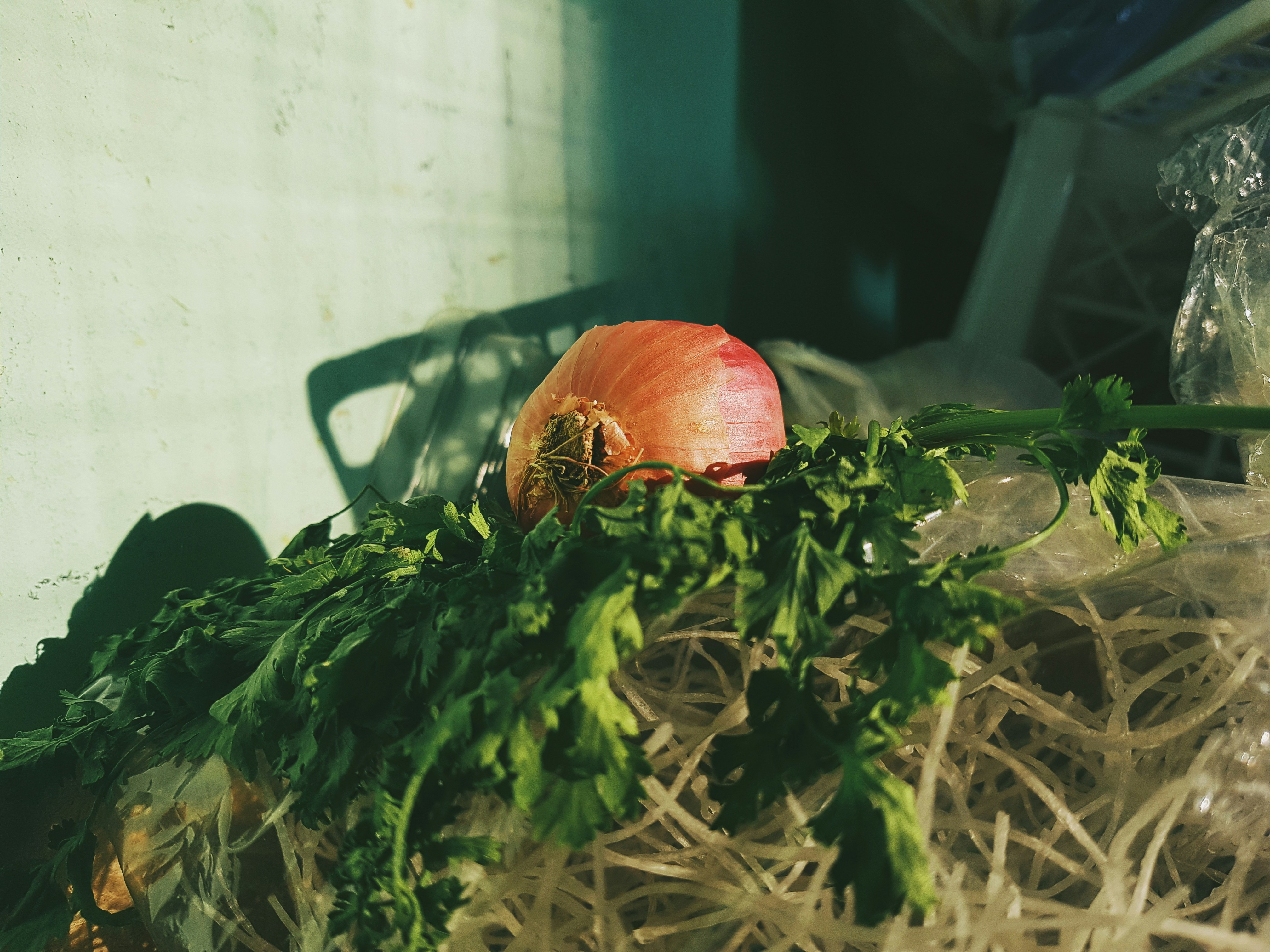 A vibrant onion rests atop a bed of fresh herbs and noodles, illuminated by natural light, showcasing the textures and colors of the ingredients.