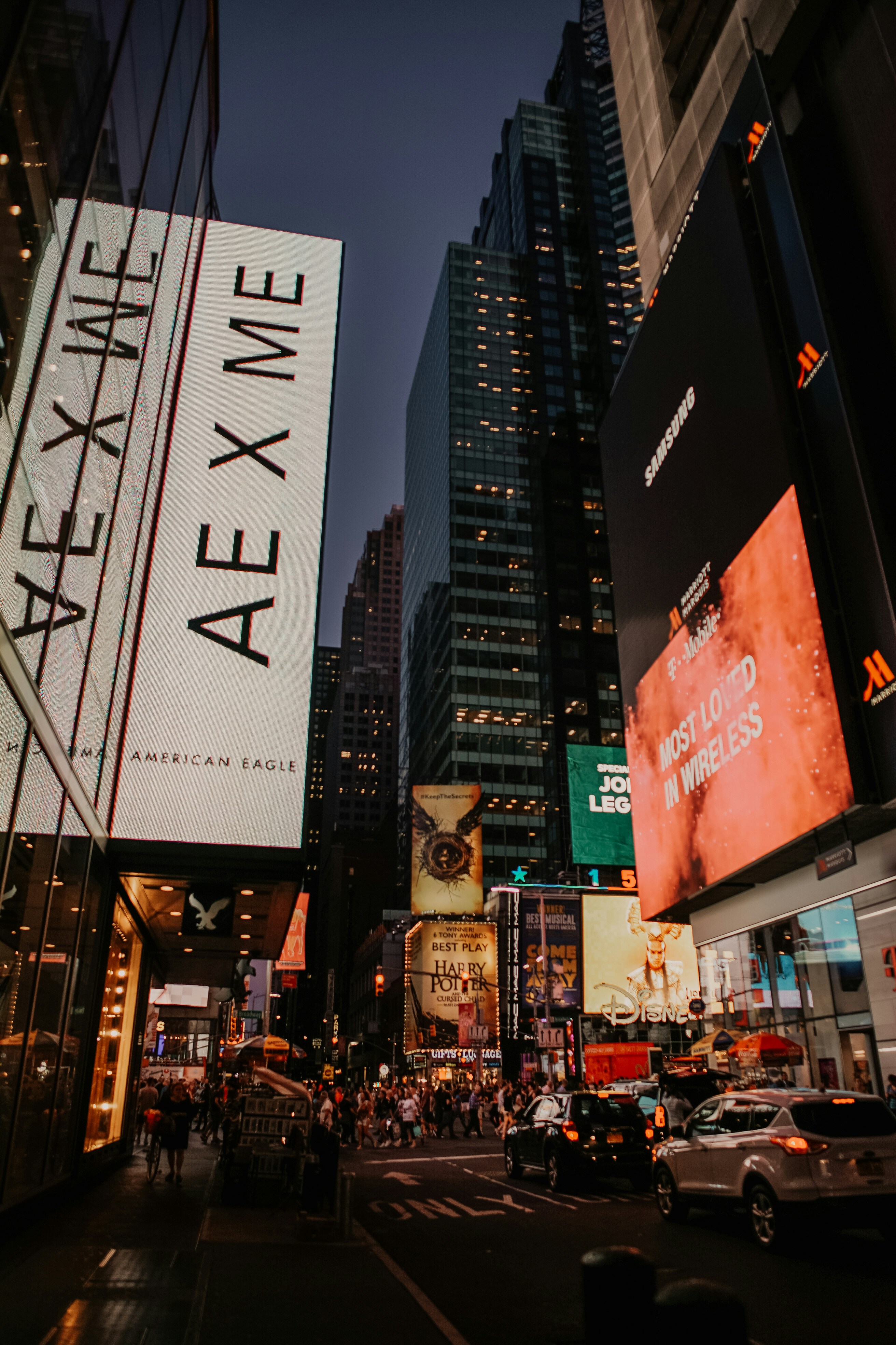 Cats on road in between buildings with signages photo – Free Building ...
