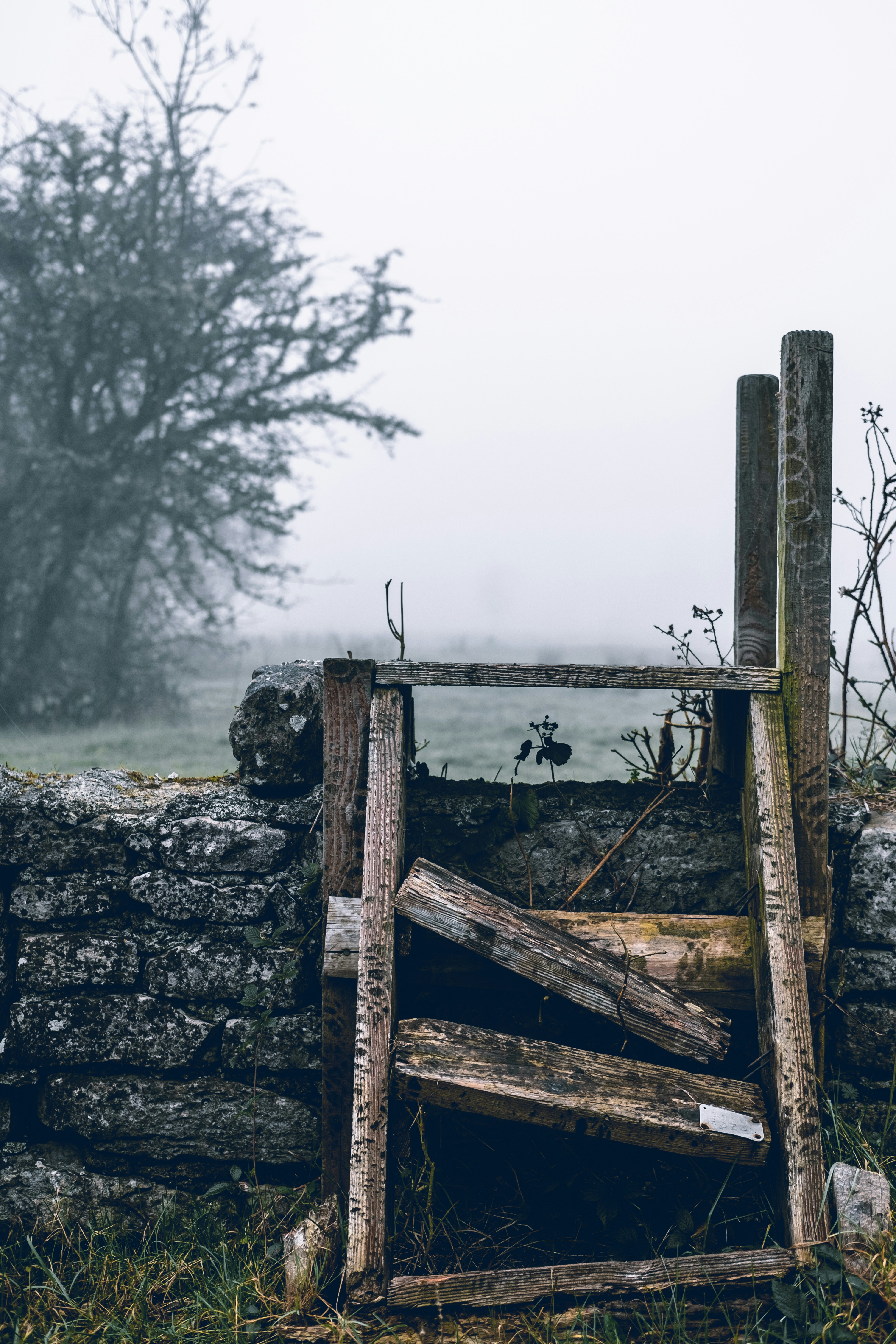 Broken Ladder Pictures | Download Free Images on Unsplash