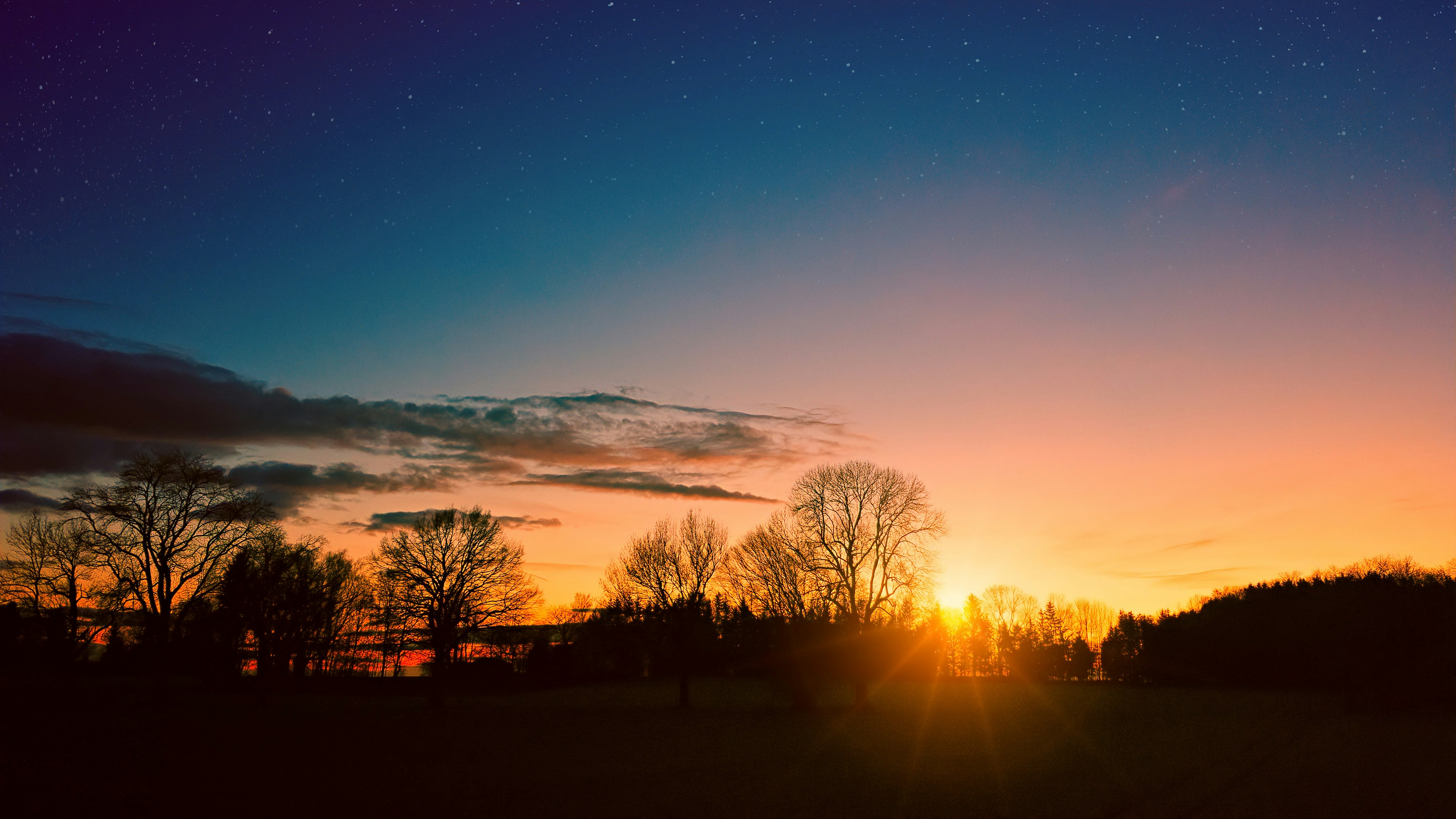 Silhouetted trees against a vibrant twilight sky with stars emerging above the horizon.